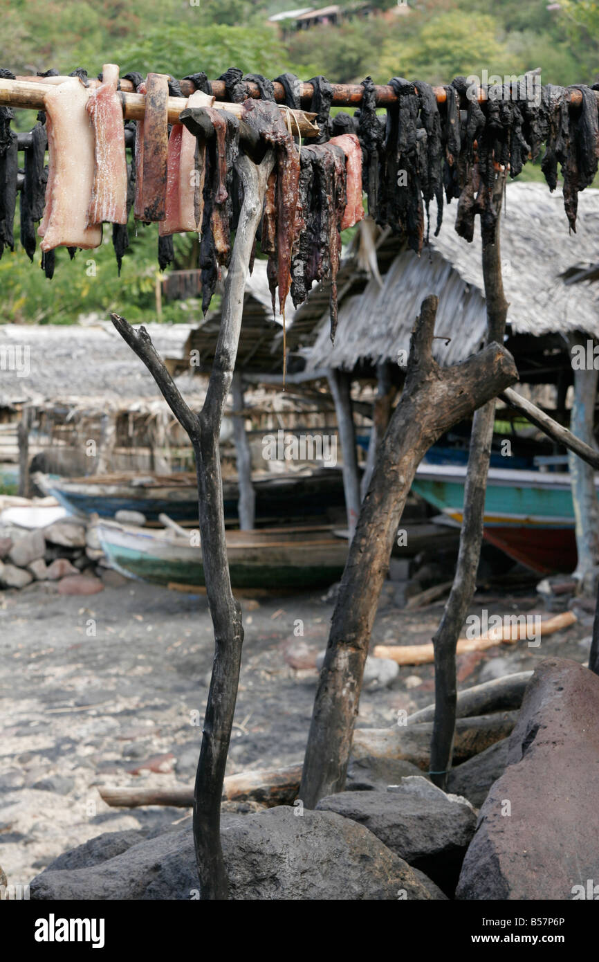 Dried whale meat hi-res stock photography and images - Alamy