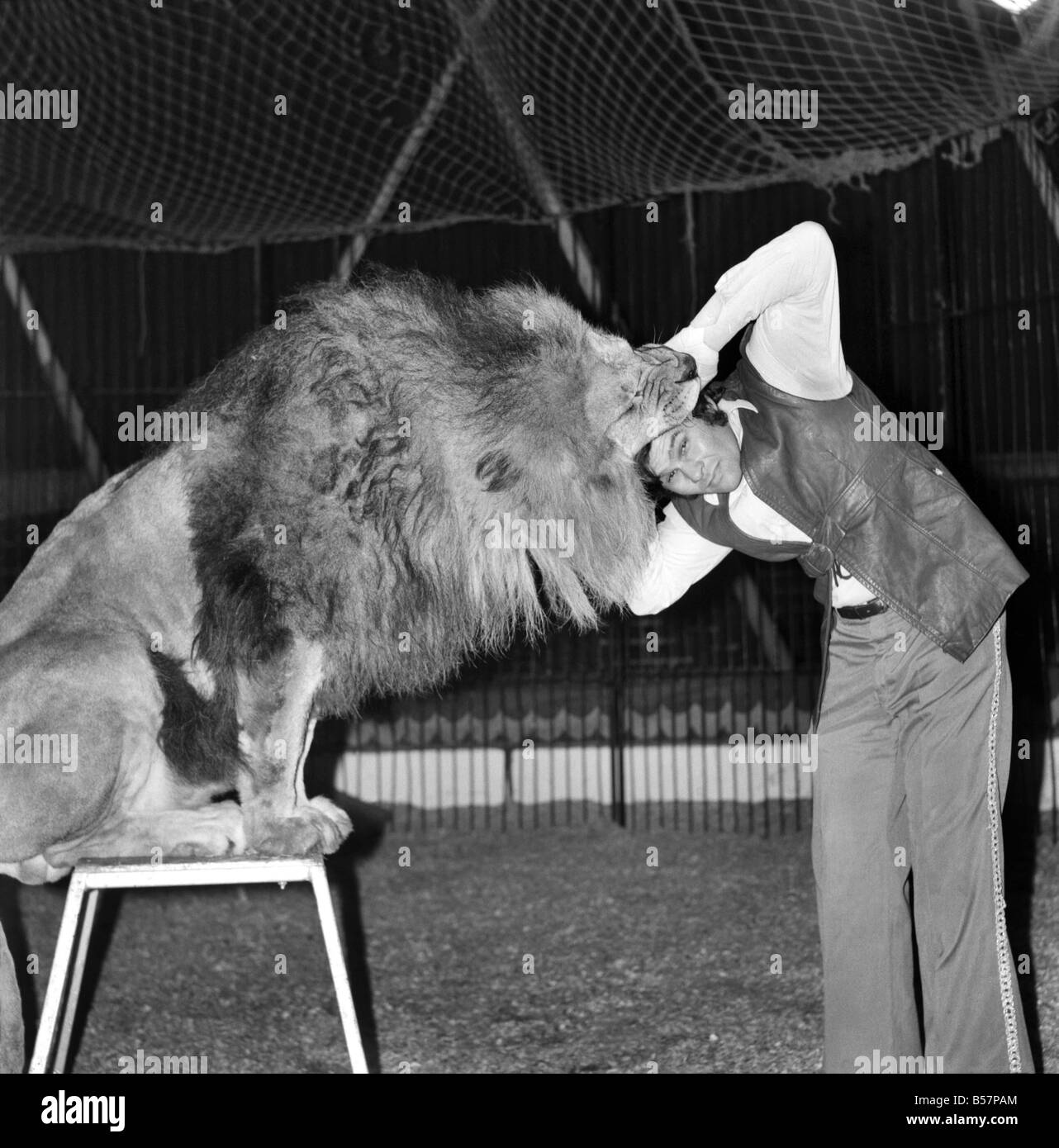 Lion trainer Richard Collins. January 1975 75-00162 Stock Photo - Alamy