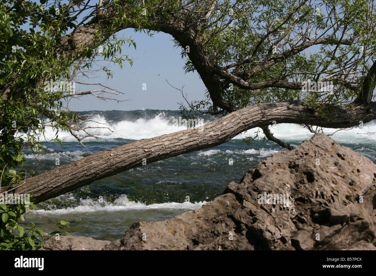 River wild hi-res stock photography and images - Alamy