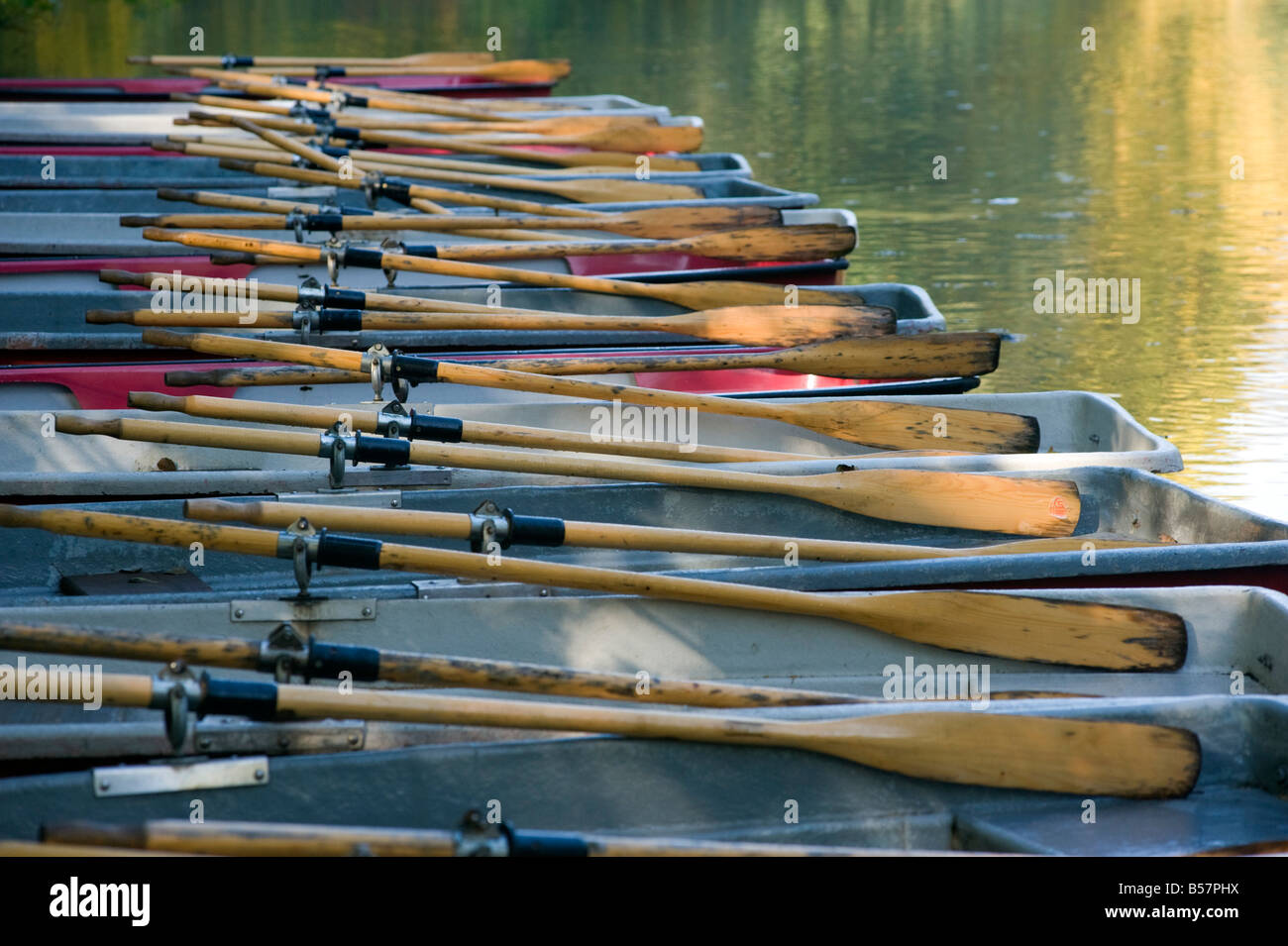 Rowing oars hi-res stock photography and images - Alamy