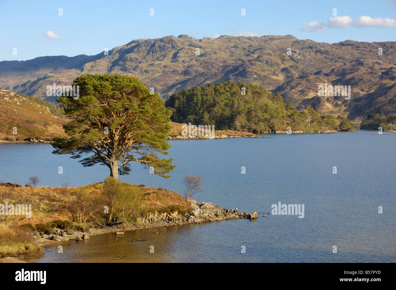 Loch Morar, Highlands, Scotland, United Kingdom, Europe Stock Photo - Alamy