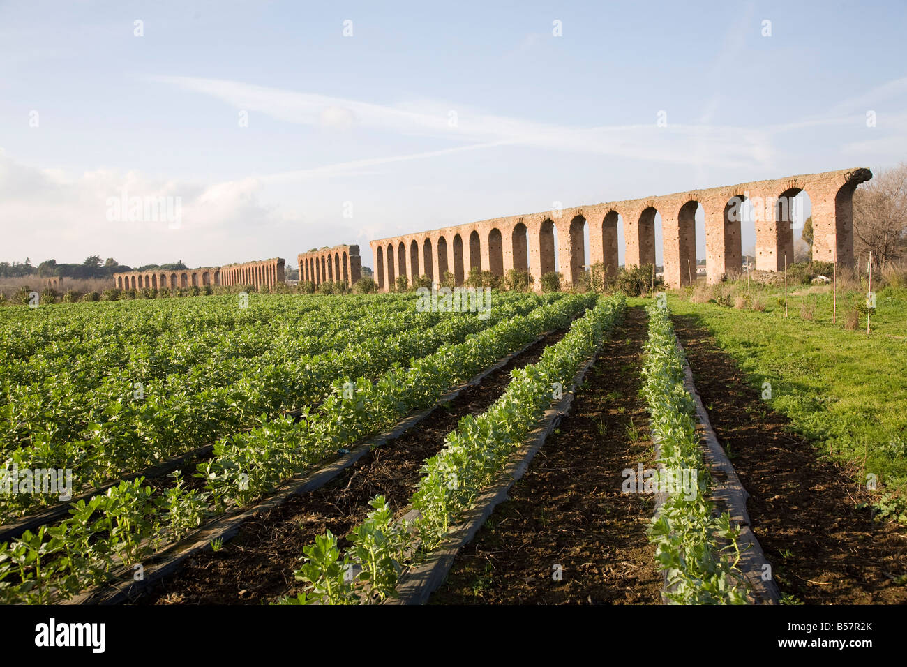 Felice rome hi-res stock photography and images - Alamy