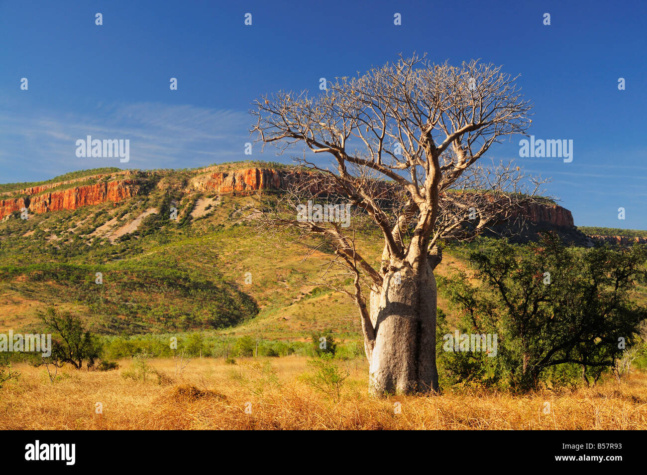 Kimberley mountain ranges hi-res stock photography and images - Alamy