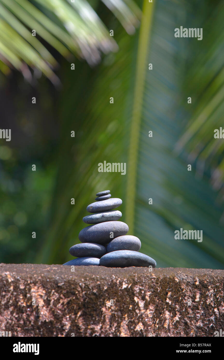 Stones balanced on rock, palm trees in background, Maldives, Indian ...