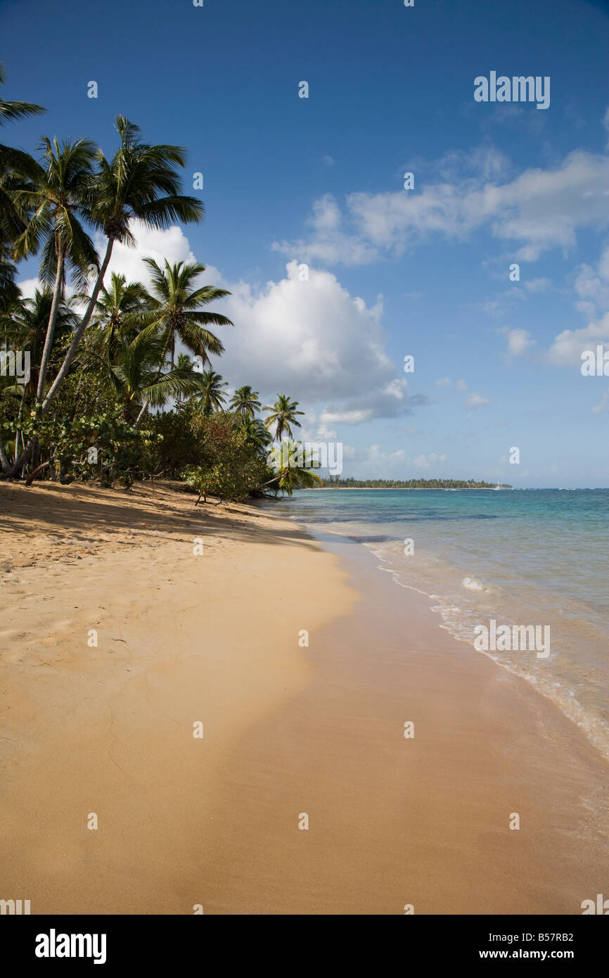 Las Terrenas, Samana Peninsula, Dominican Republic, West Indies ...