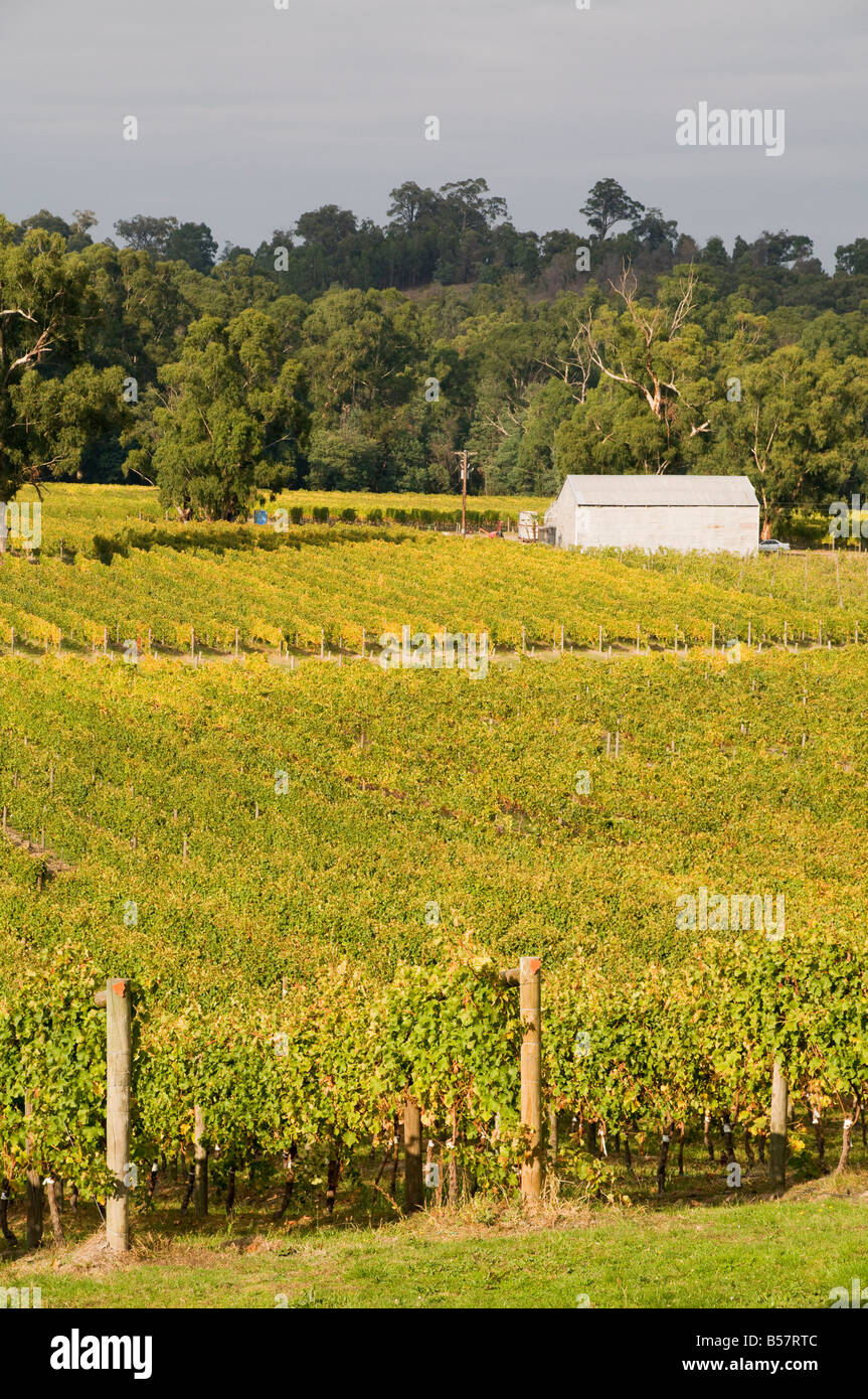 Victoria valley hi-res stock photography and images - Alamy