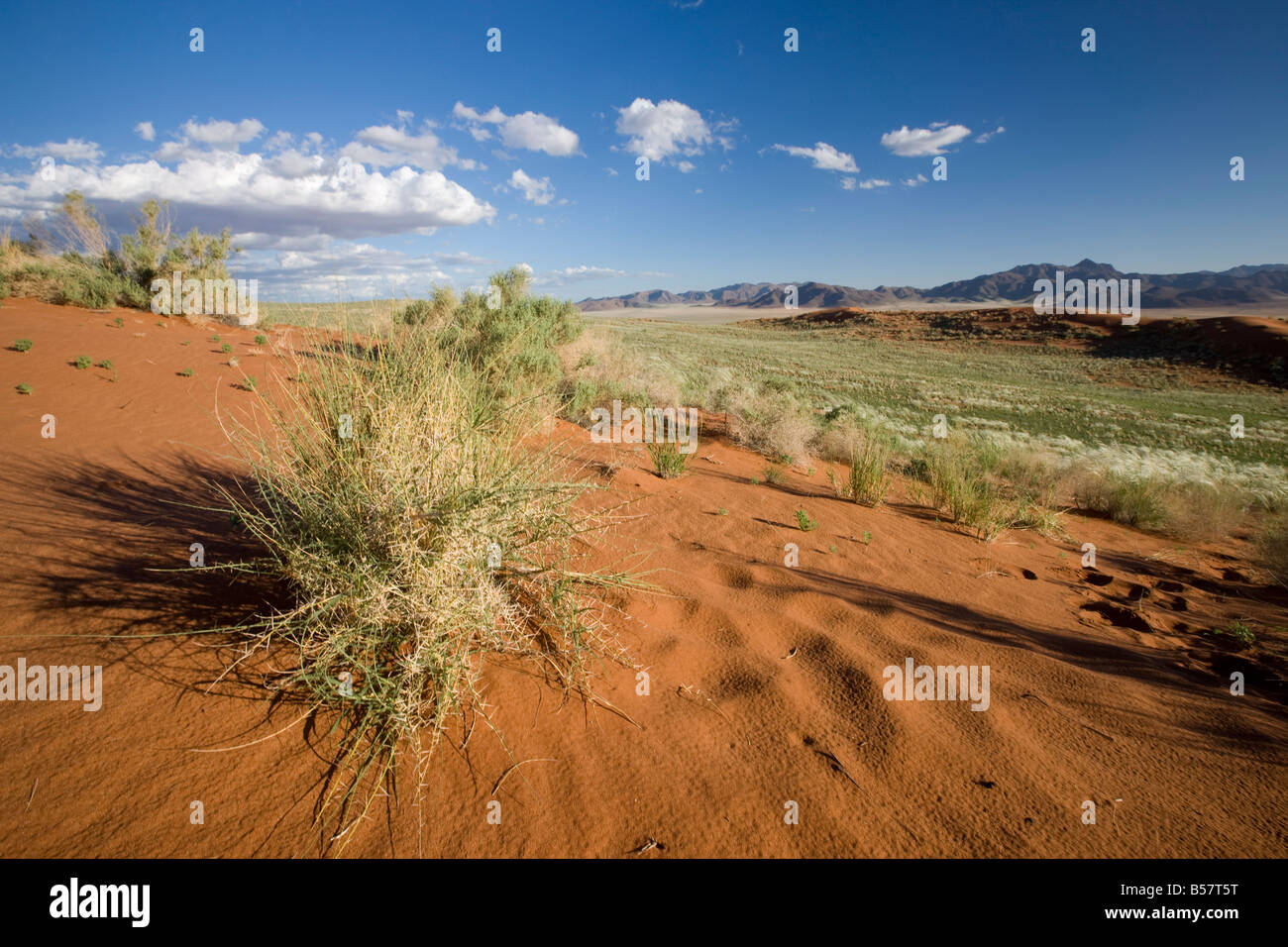 Wolvedans, Namib Rand Nature Reserve, Namibia, Africa Stock Photo - Alamy