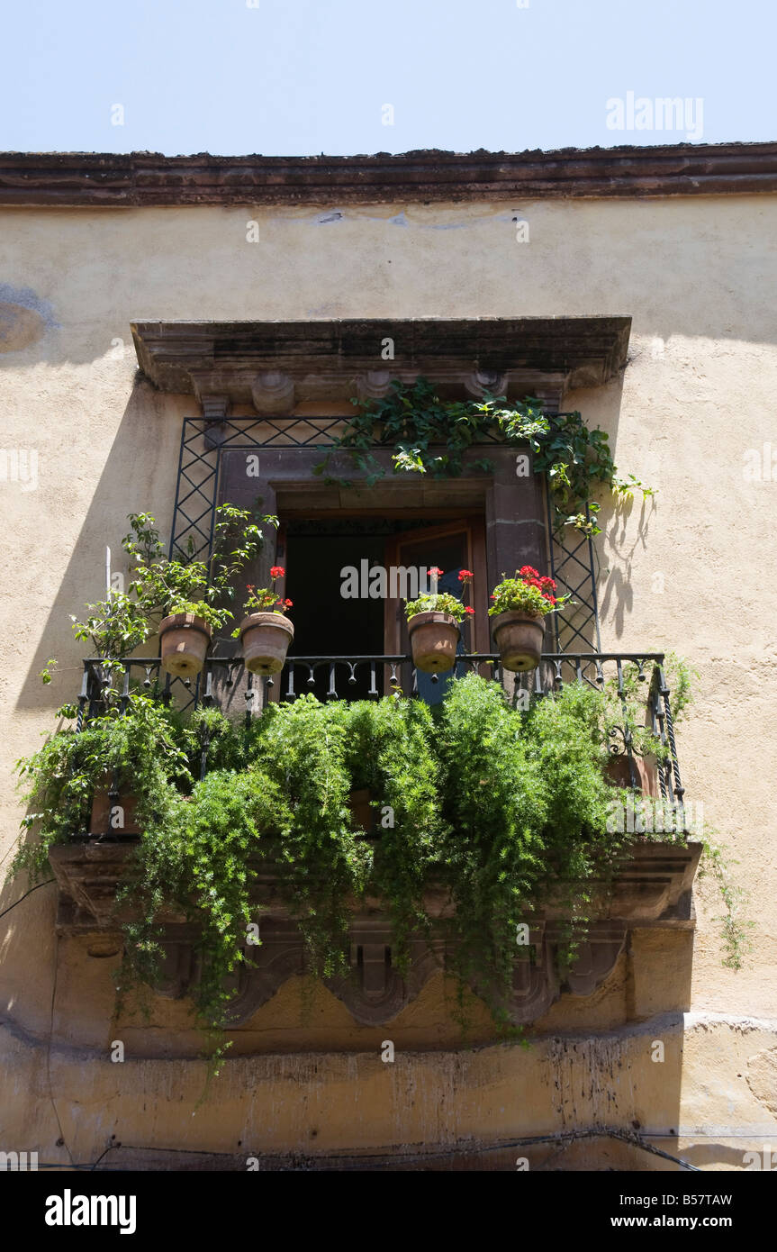 Windows of San Miguel de Allende (San Miguel), Guanajuato State, Mexico ...