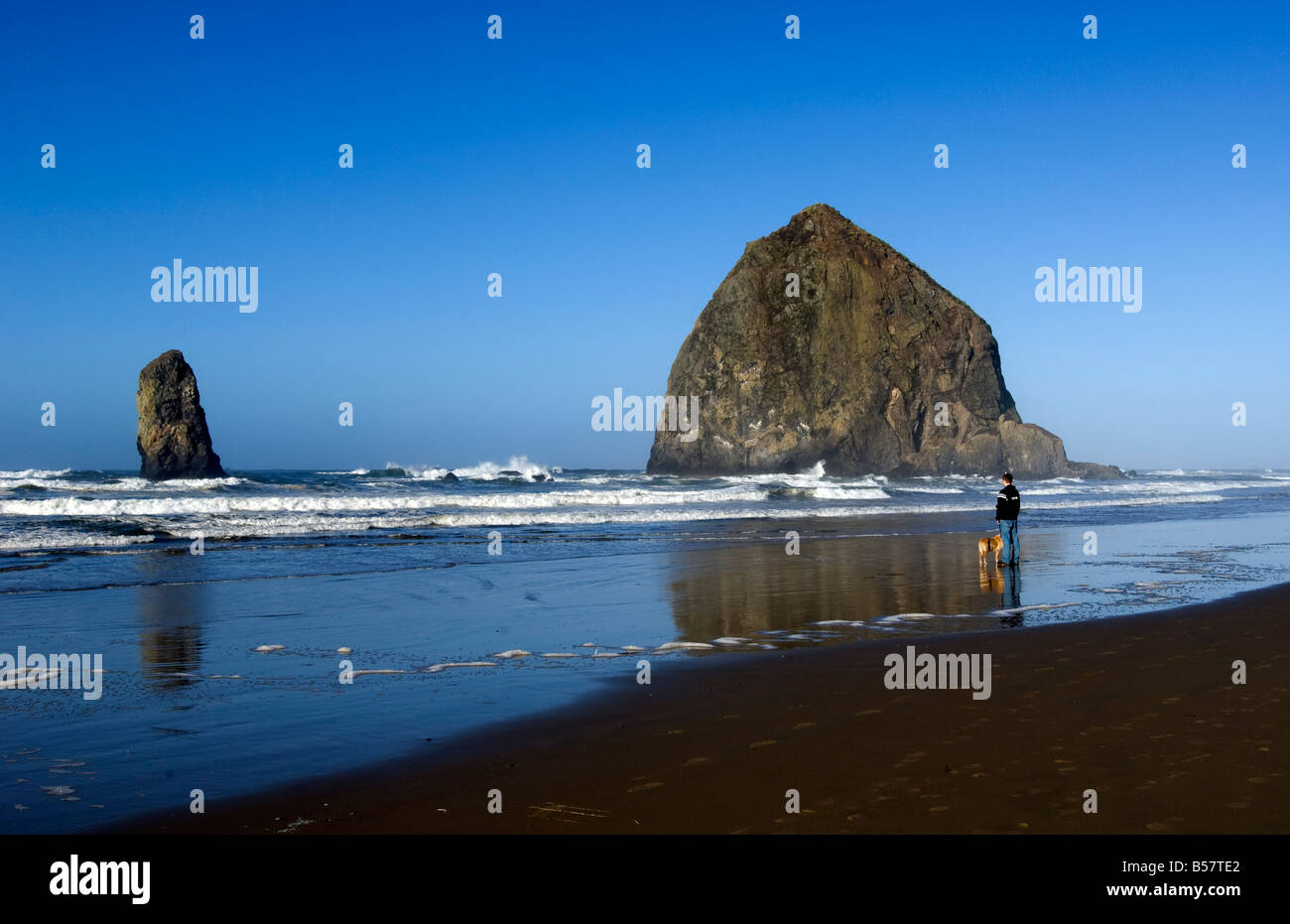Haystack rock cannon beach person hi-res stock photography and images ...