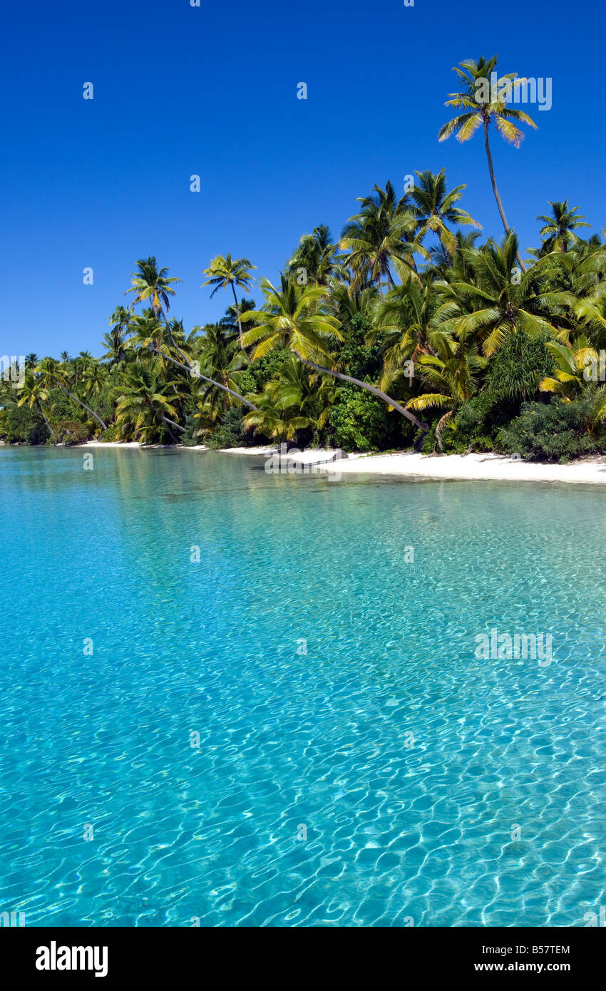 Palm fringed beaches, Cook Islands, South Pacific, Pacific Stock Photo ...