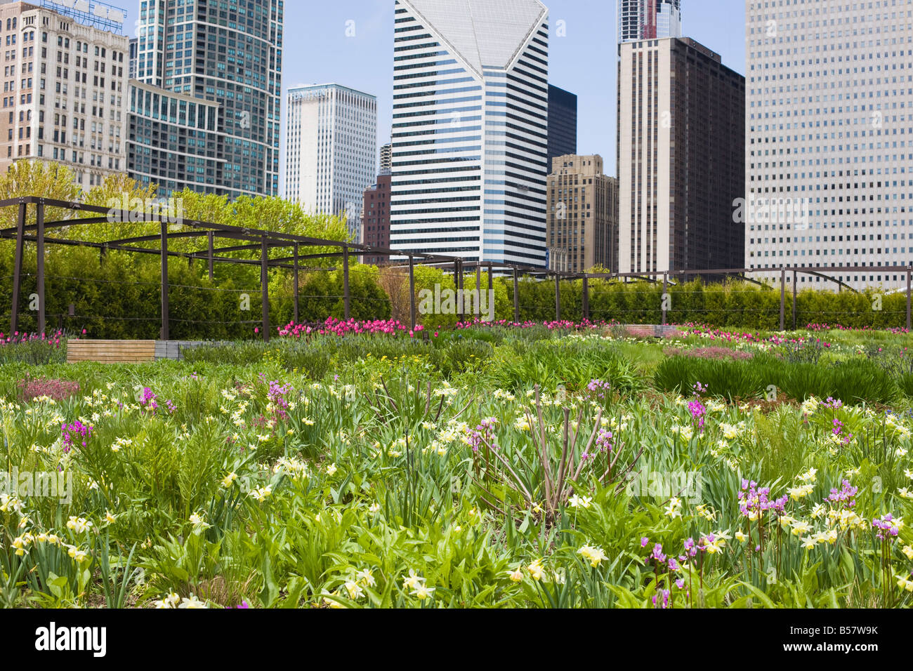Chicago, lurie garden hi-res stock photography and images - Alamy