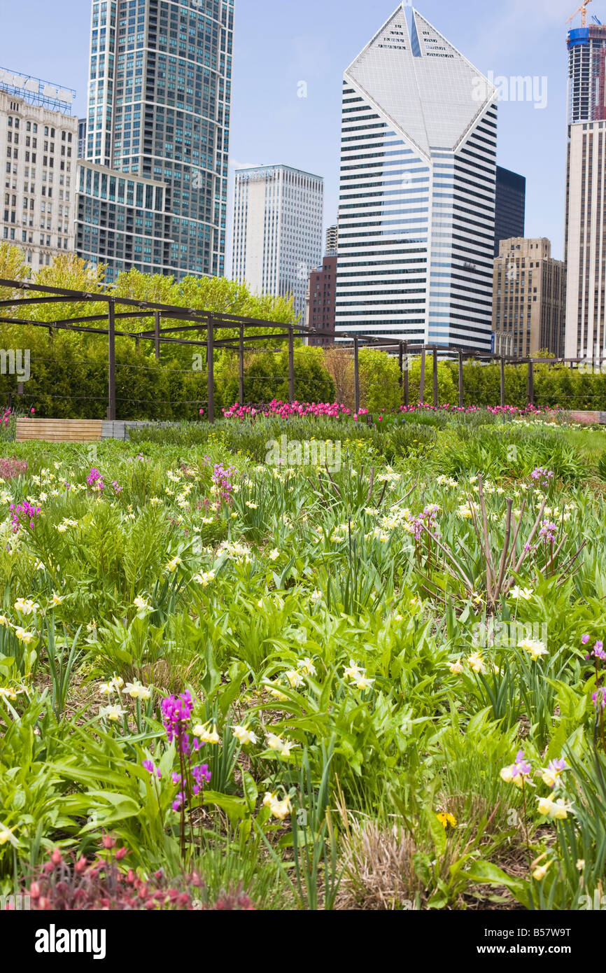 The Lurie Garden, Millennium Park, Chicago, Illinois, United States of ...