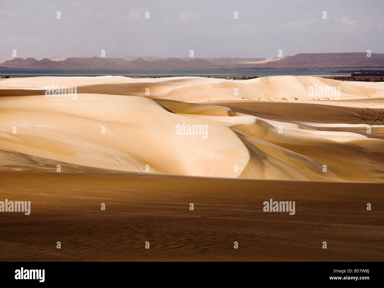Sand dunes, The Great Sand Sea, Western Desert, Egypt, North Africa ...