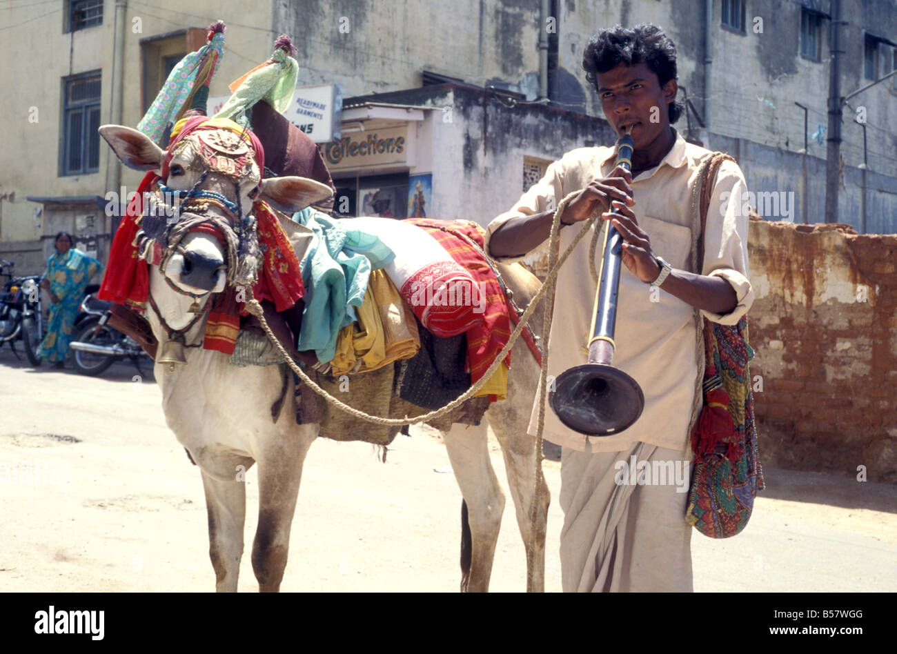 Holy cow mysore hi-res stock photography and images - Alamy