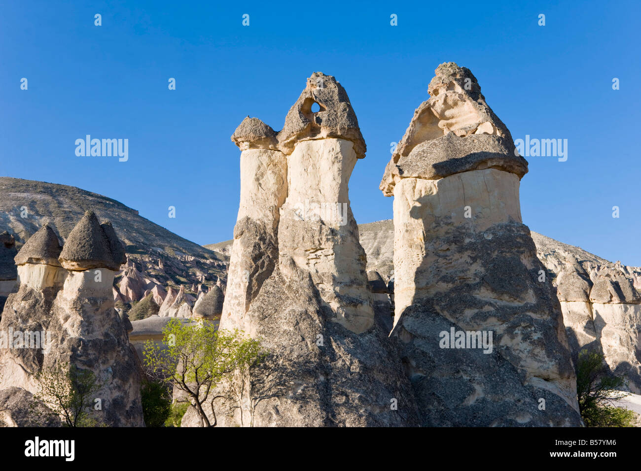 Phallic pillars known as fairy chimneys in the valley known as Love ...