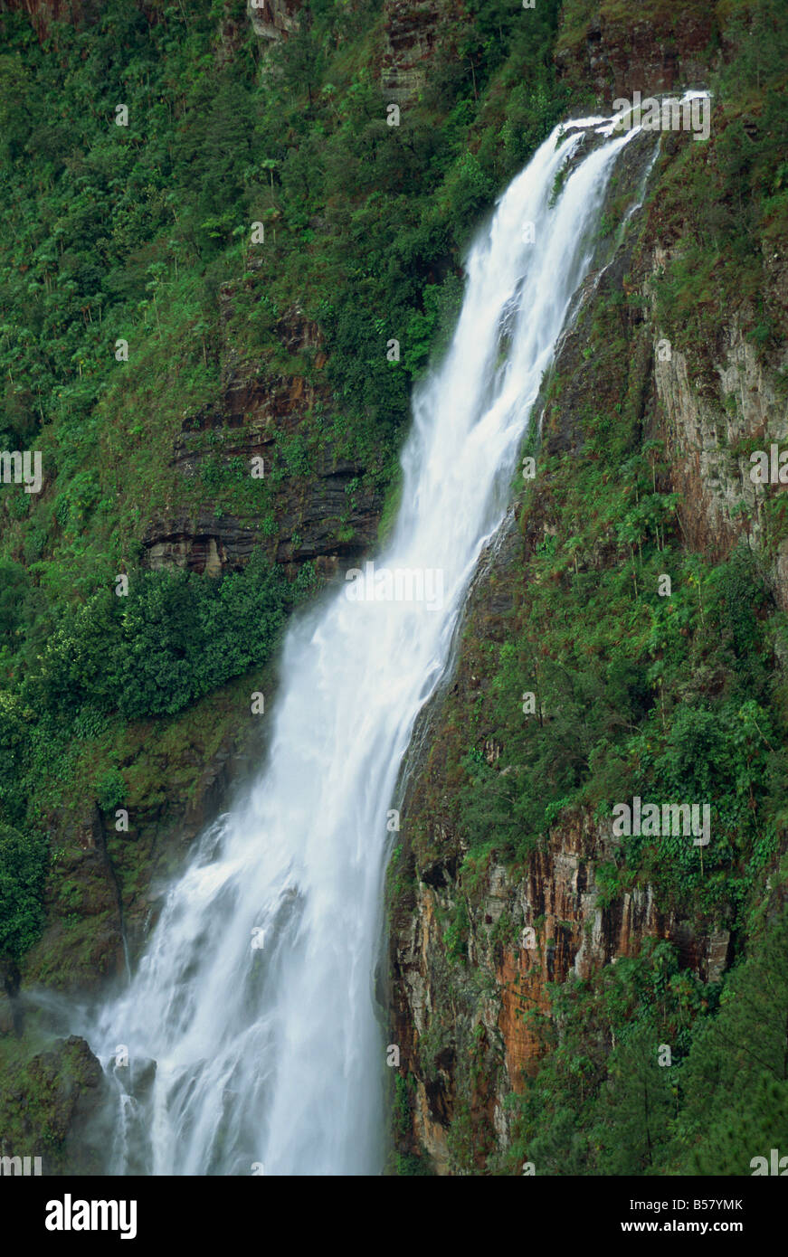 1000 ft waterfall over the Mountain Pine Ridge Belize Central America J ...