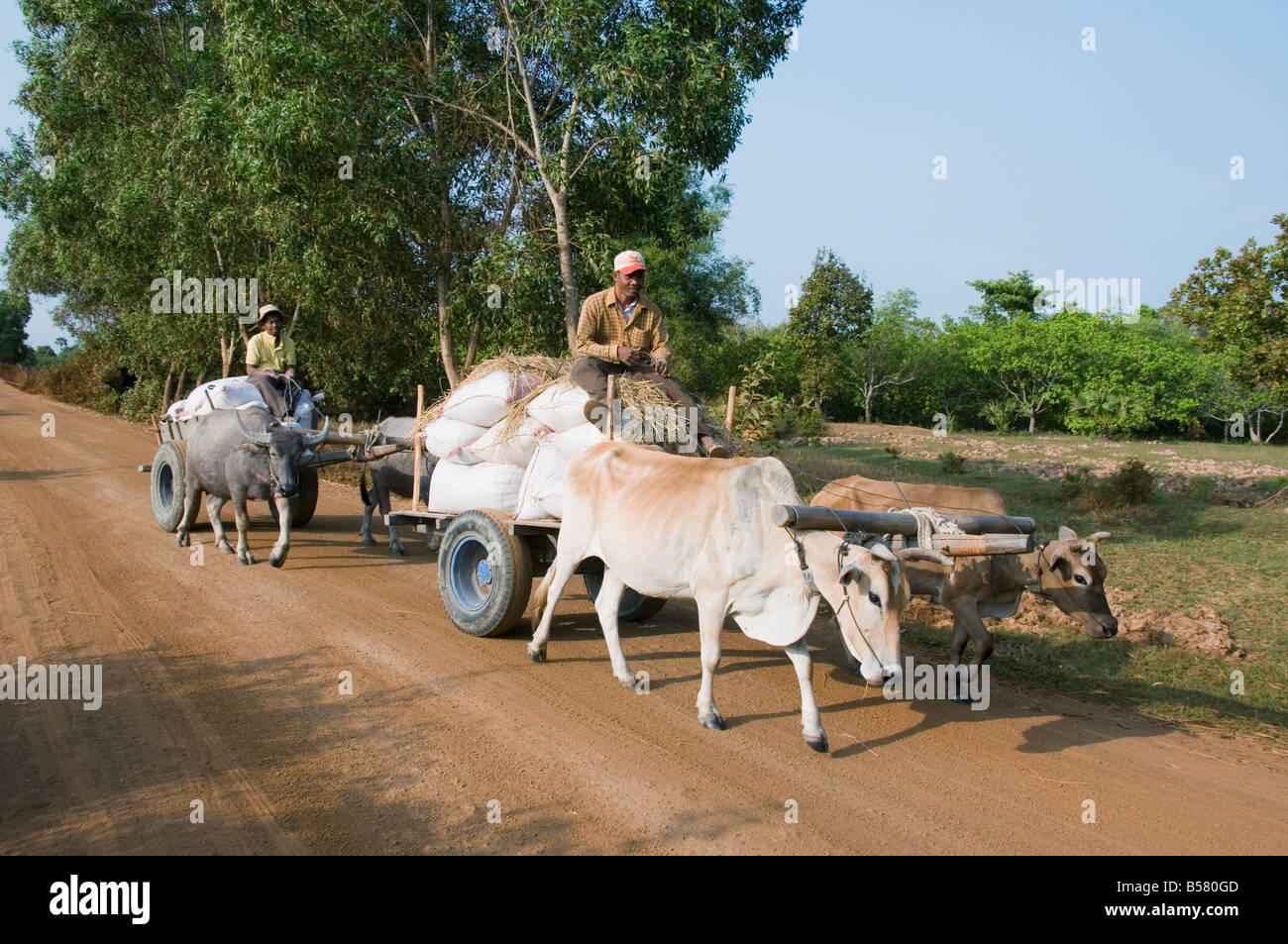 Ox cart cambodia hi-res stock photography and images - Alamy