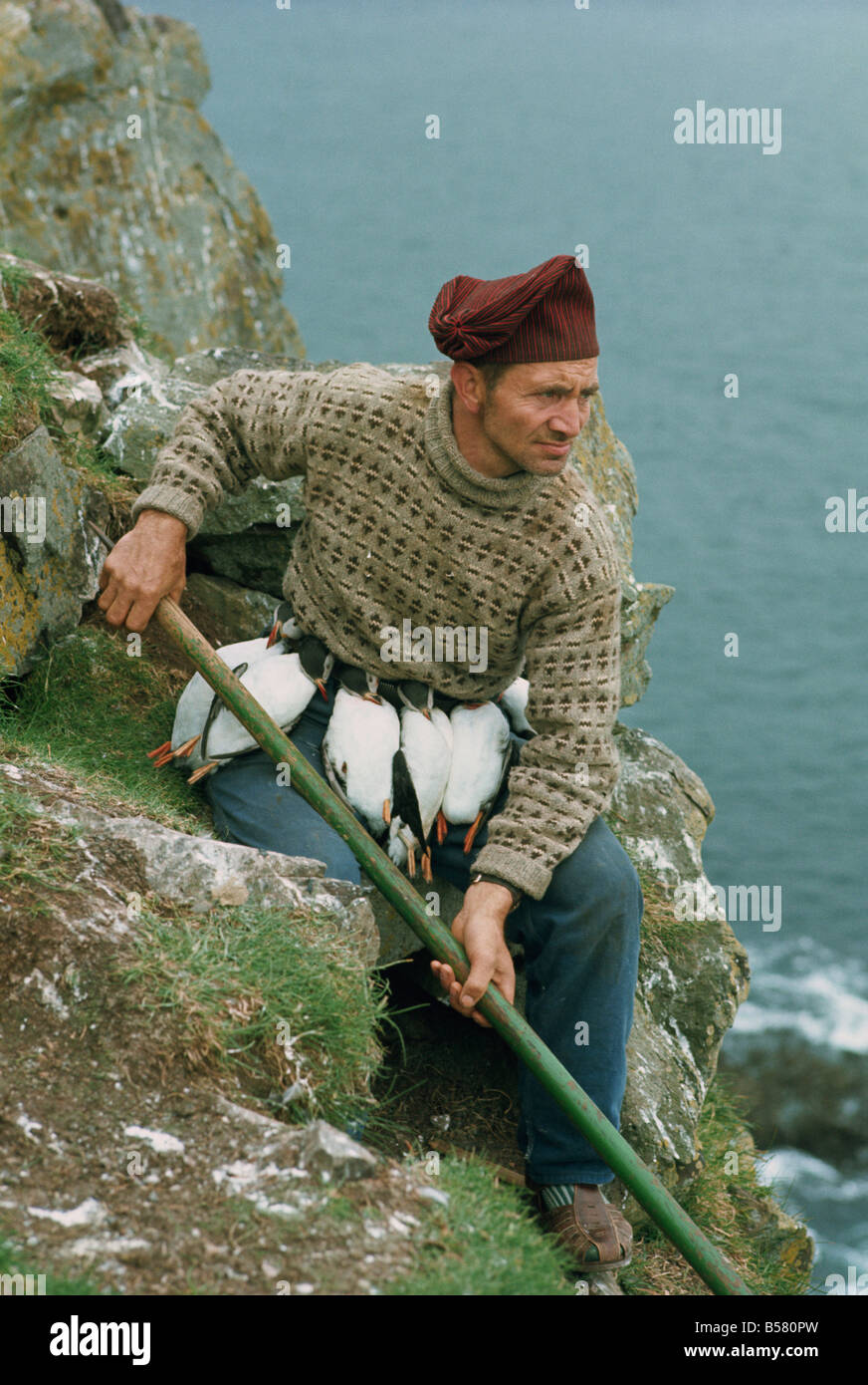 Puffin catcher hi-res stock photography and images - Alamy