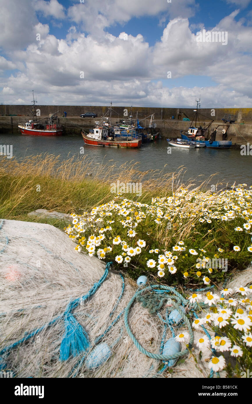 Helvick head pier hi-res stock photography and images - Alamy