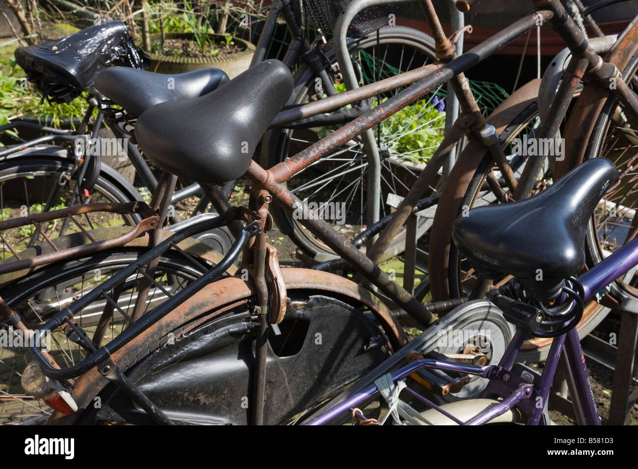 Transporting bicycles hi-res stock photography and images - Alamy