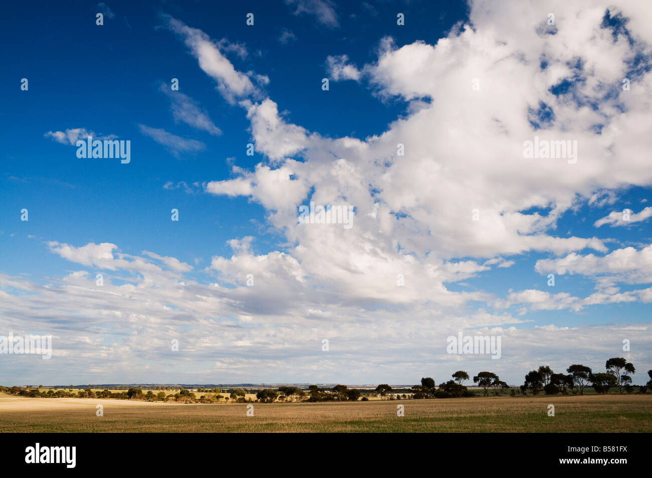 Corrigin Western Australia High Resolution Stock Photography and Images ...