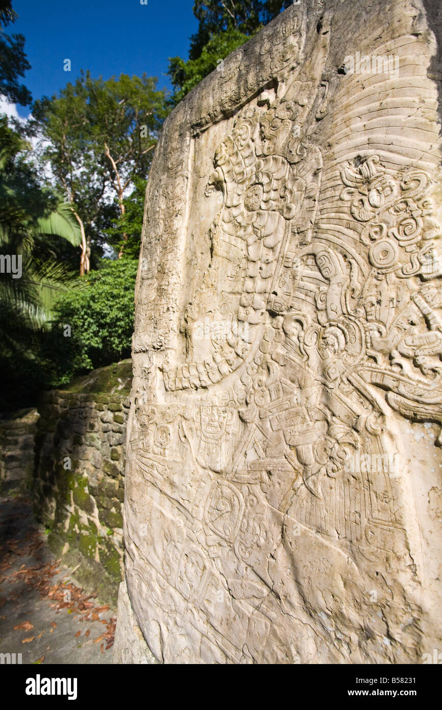 Stela 9 erected in AD 625 to commemorate the accession of Lord Smoking ...