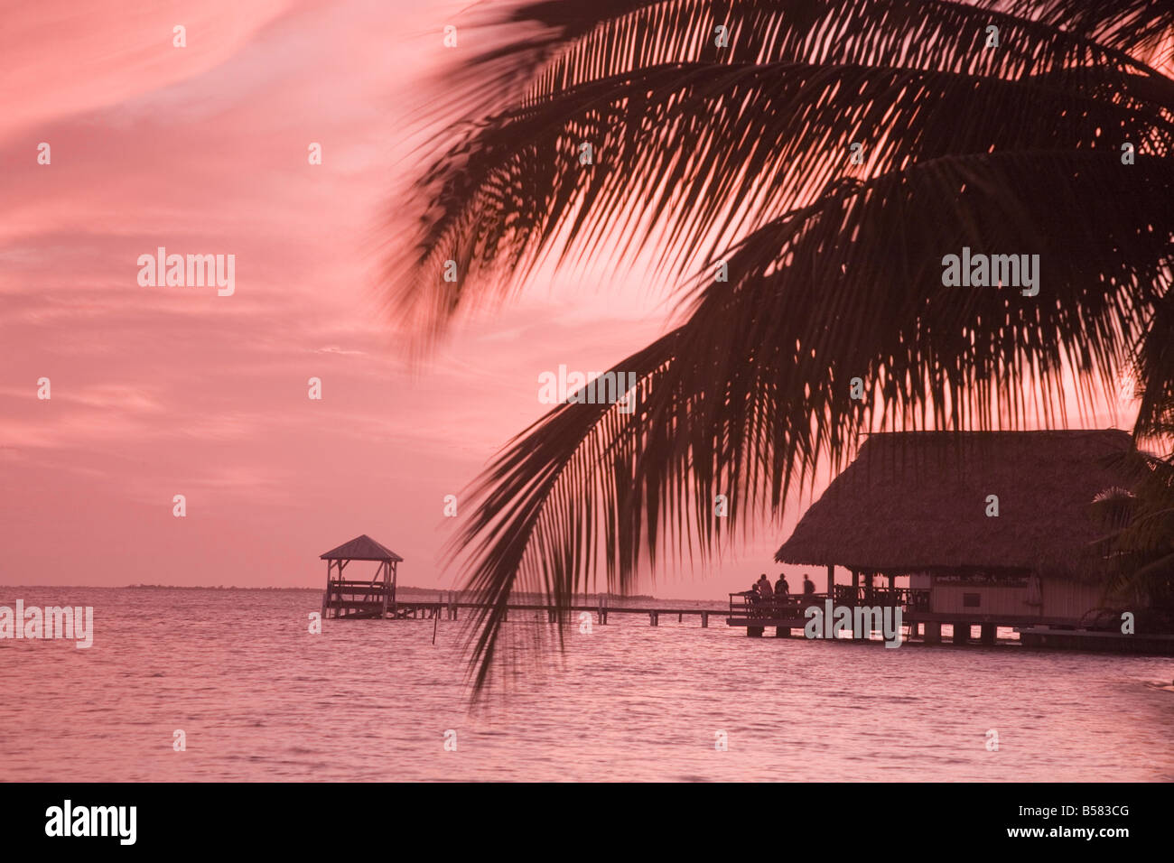 People at bar silhouette hi-res stock photography and images - Alamy