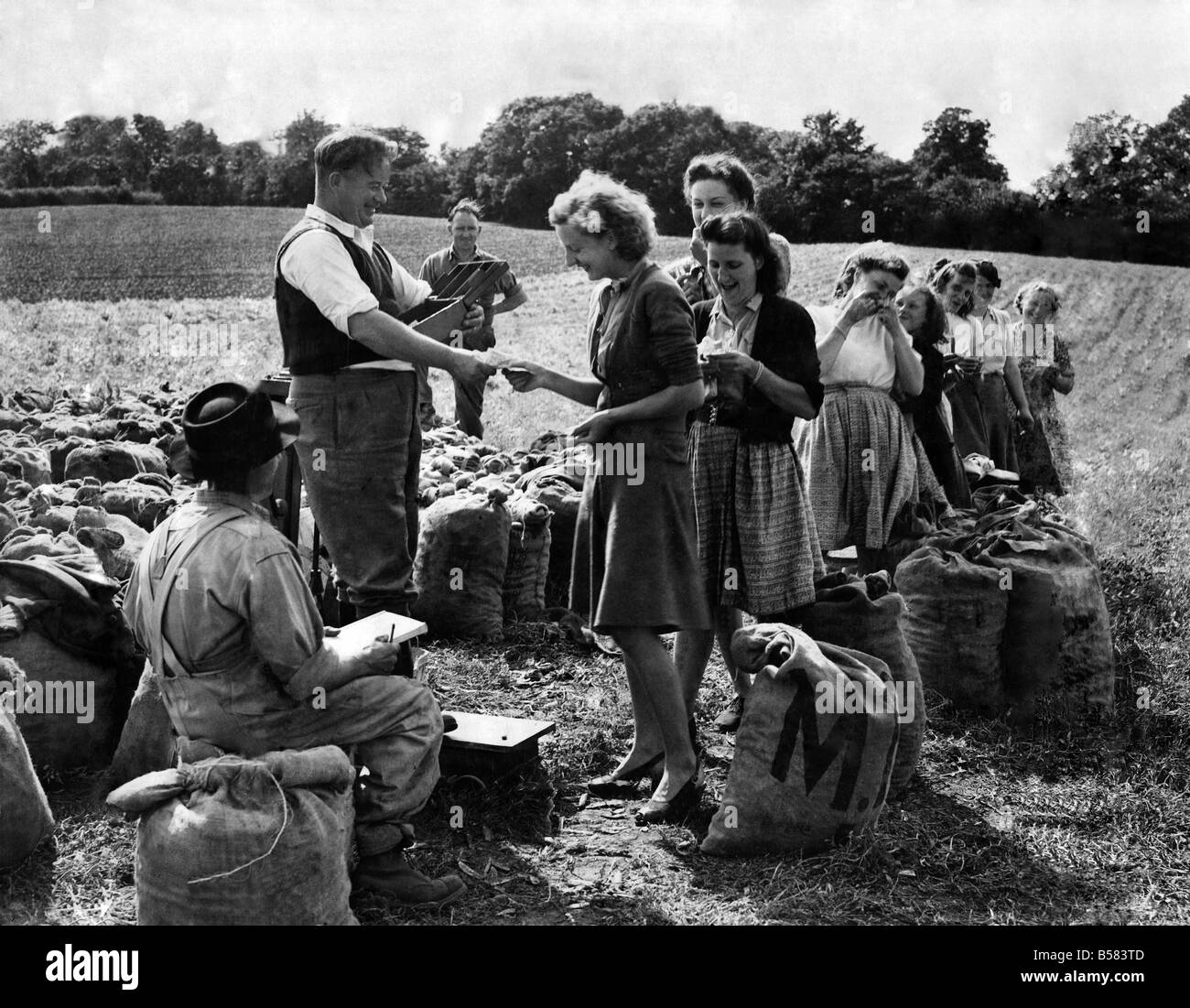 Farm crops in green Black and White Stock Photos & Images - Alamy