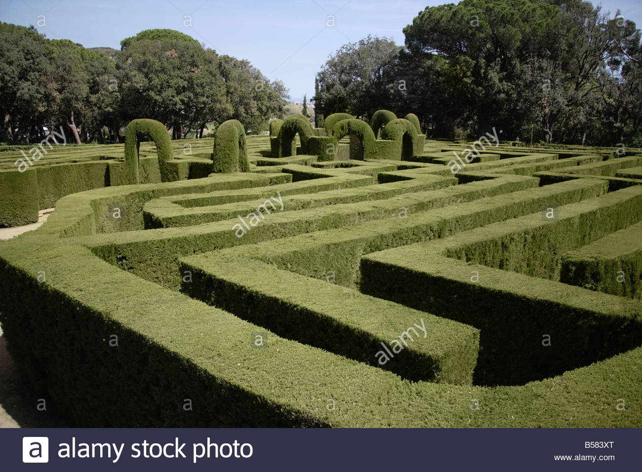 Maze Hedge Pattern Labyrinth Stock Photos & Maze Hedge Pattern ...