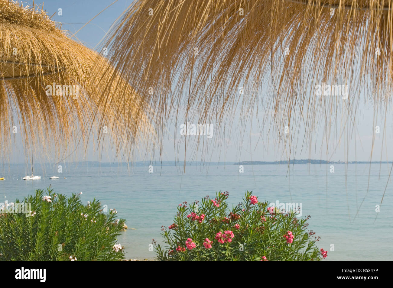 Monega beach hi-res stock photography and images - Alamy