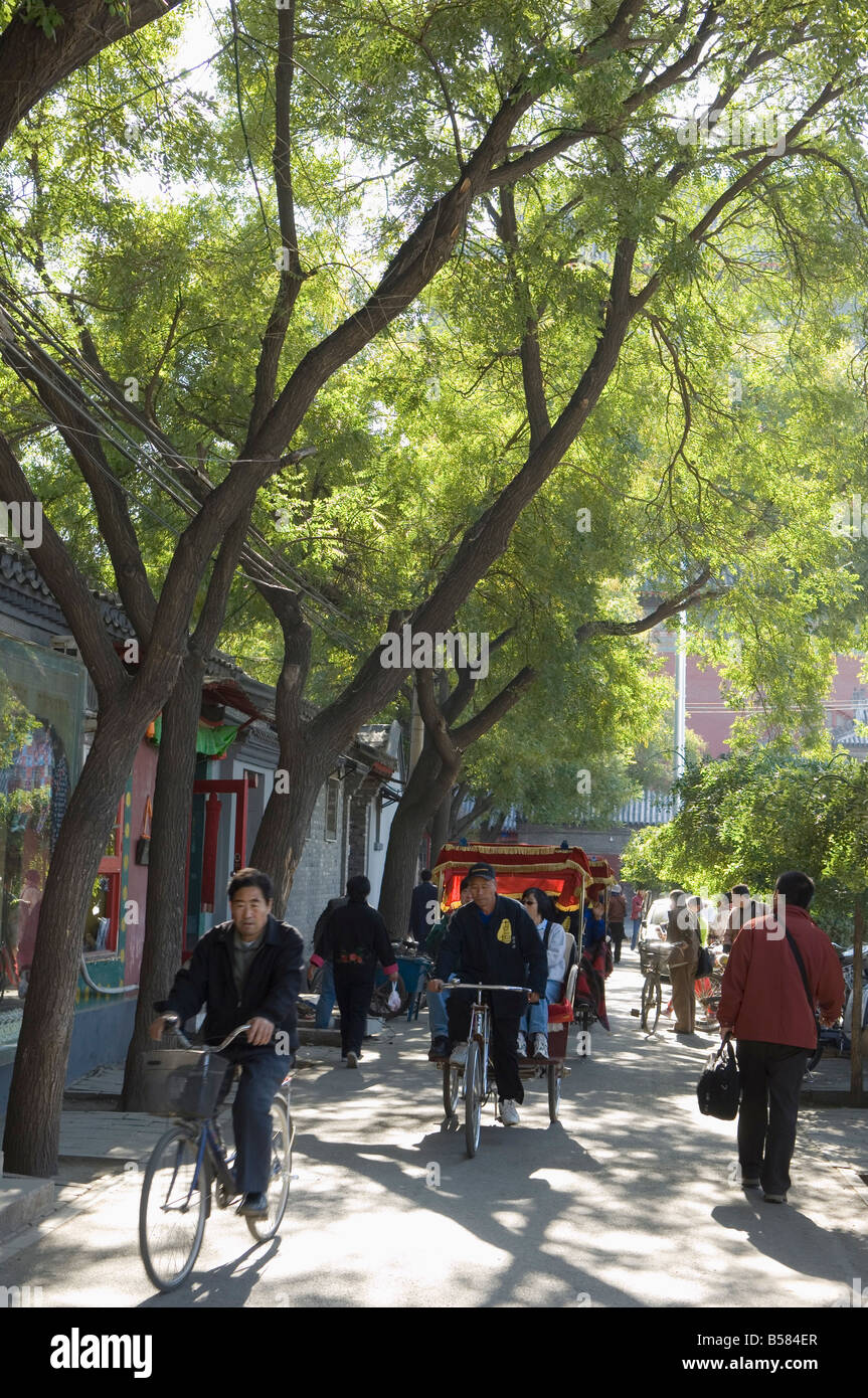 A tree lined avenue in a local neighbourhood Hutong area of Beijing ...