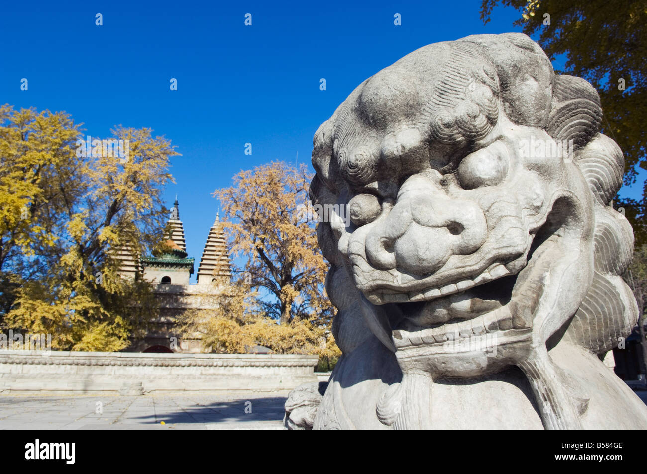 Lion statue at Zhen Jue temple, Beijing, China, Asia Stock Photo - Alamy