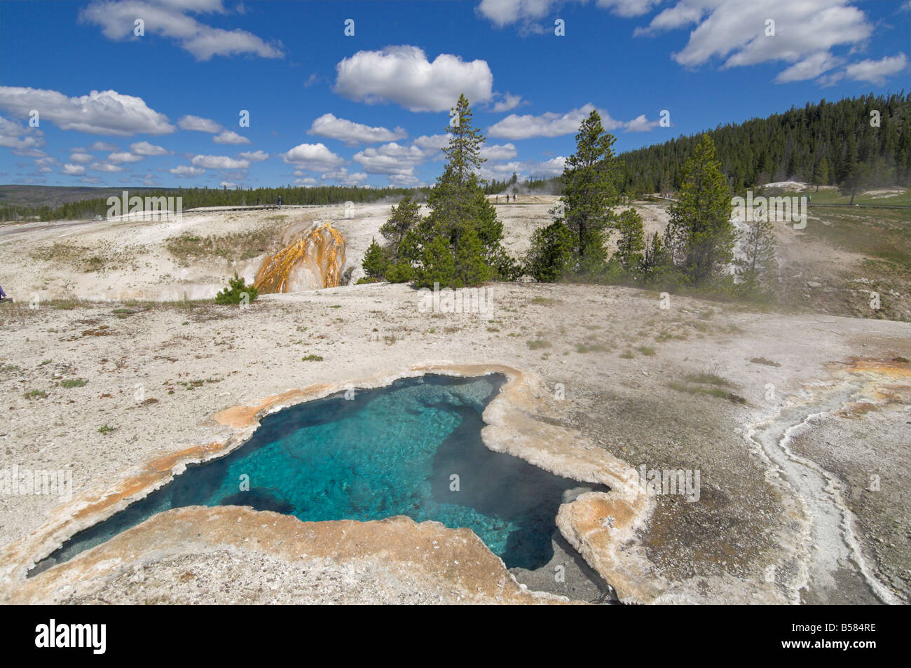 Blue Star Spring, Upper Geyser Basin, Yellowstone National Park, UNESCO ...