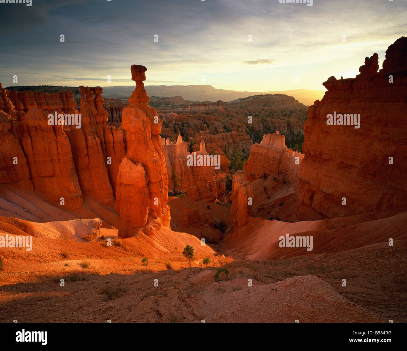 Backlit hoodoos and Thor's Hammer, Bryce Canyon National Park, Utah ...