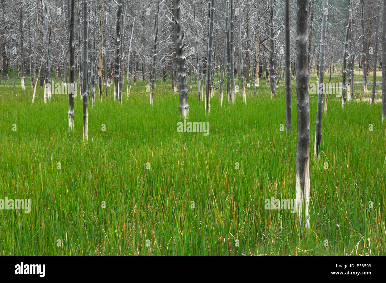 Contrasting area hi-res stock photography and images - Alamy