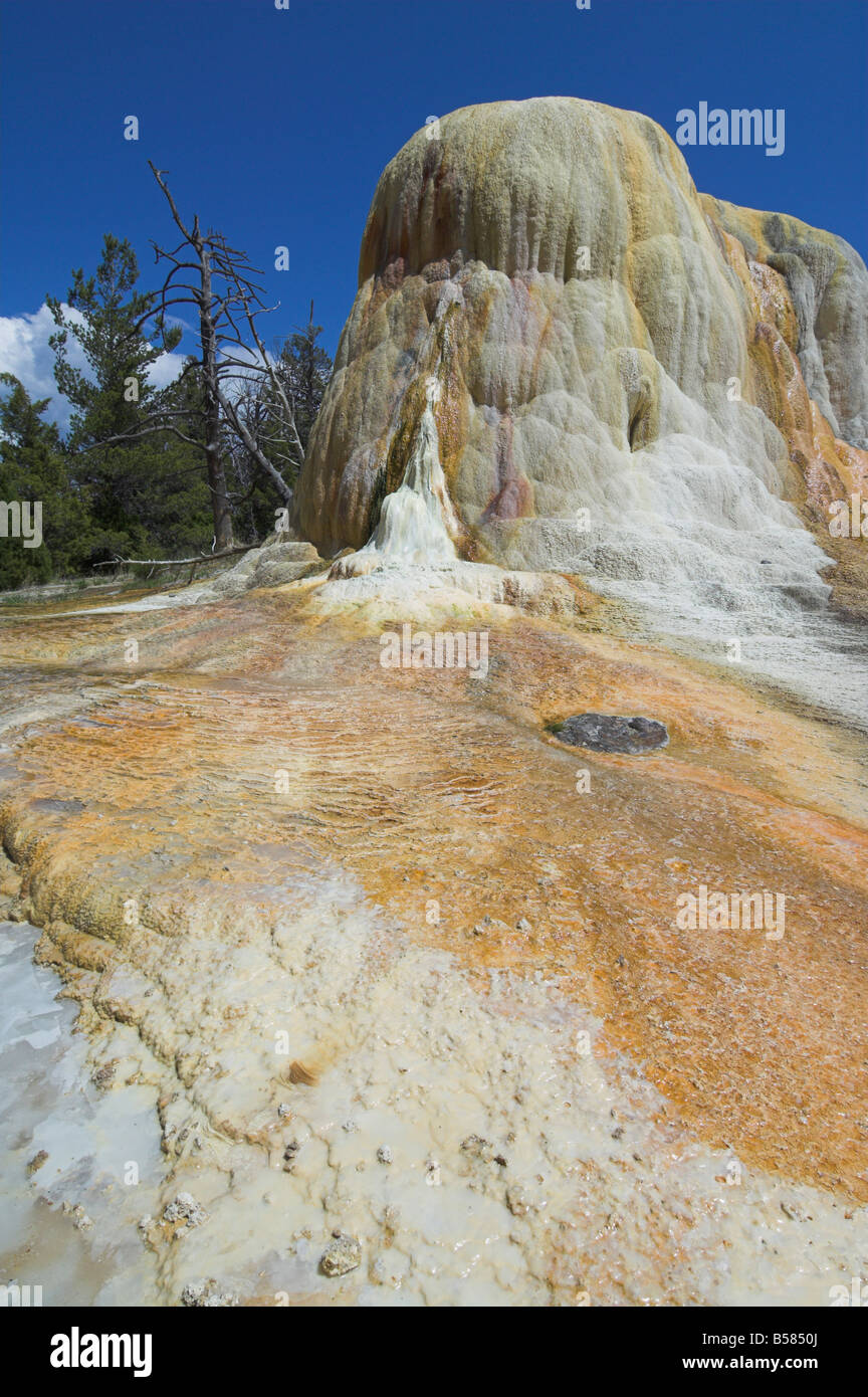 Orange spring mound hi-res stock photography and images - Alamy