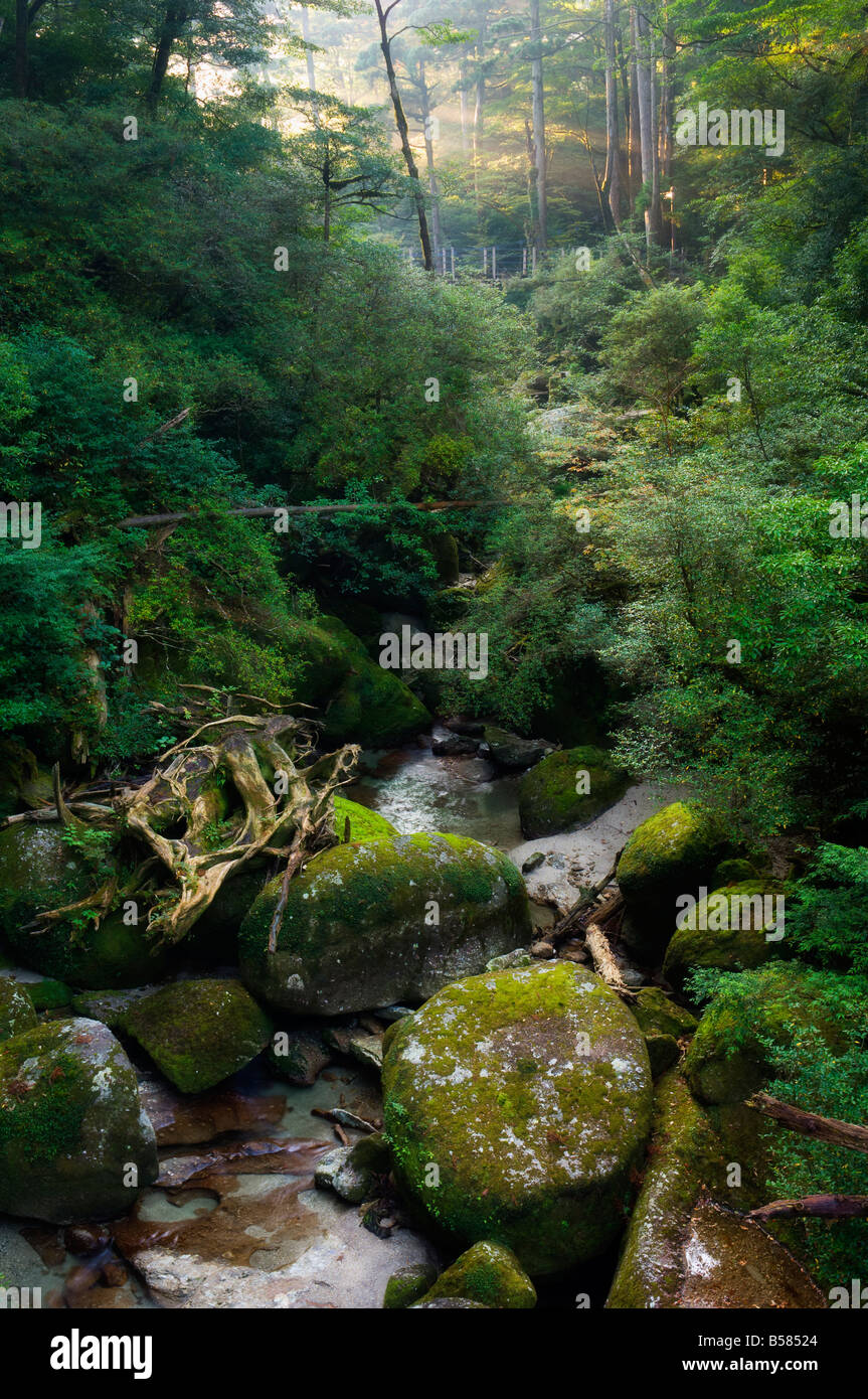 Arakawa River, Yaku-shima (Yaku Island), Kyushu, Japan, Asia Stock ...
