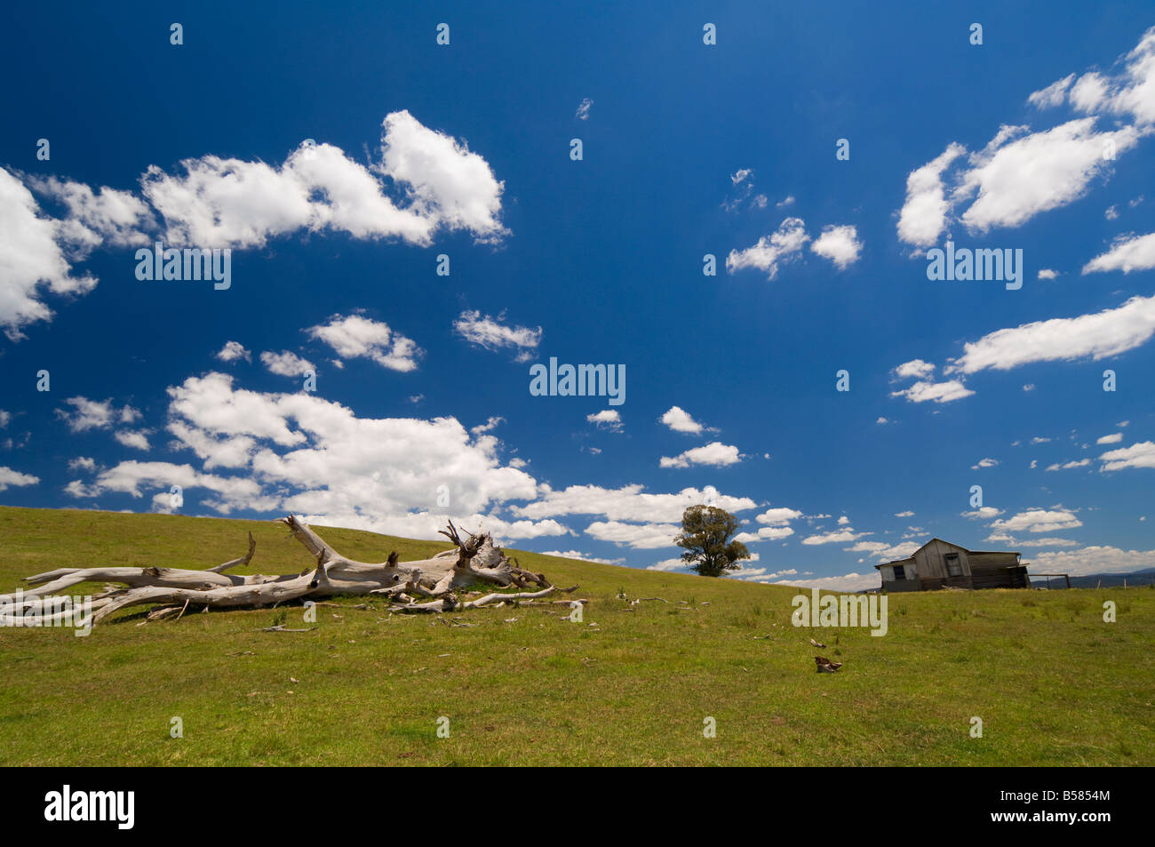 Farmland, Butchers Ridge, Victoria, Australia, Pacific Stock Photo - Alamy