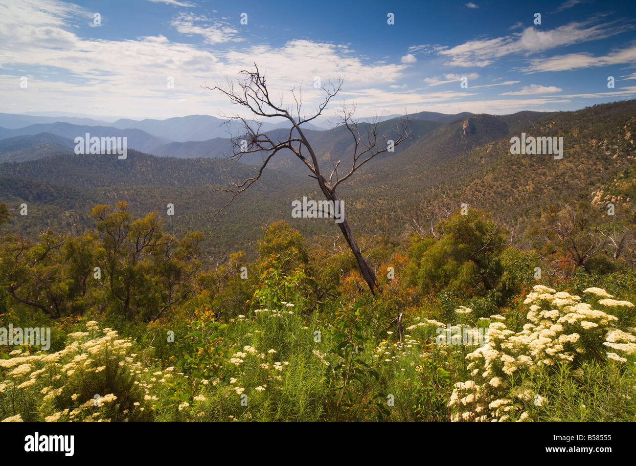 Alpine High Country, Snowy River National Park, Victoria, Australia ...