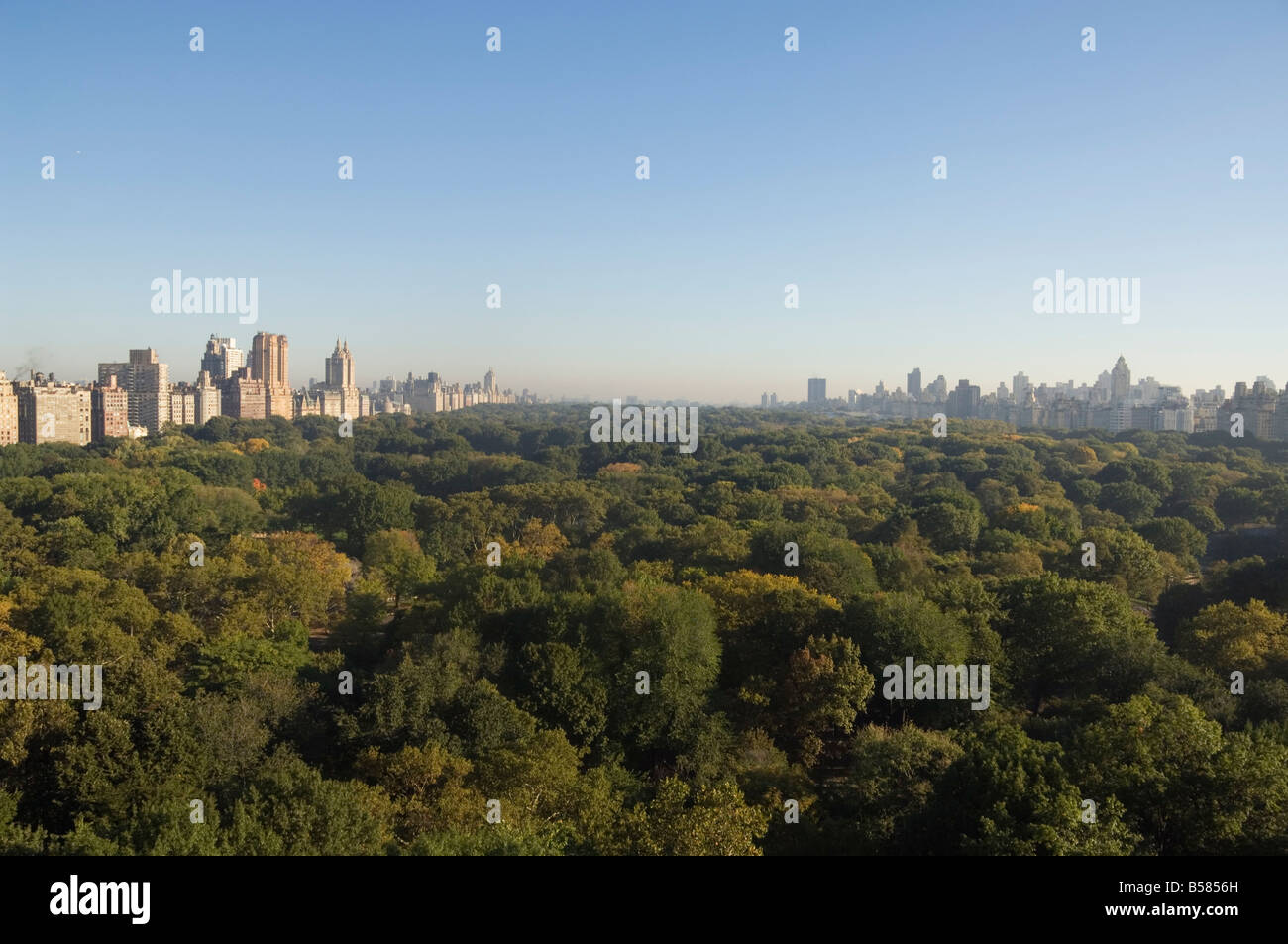 View of Central Park from south looking north, Manhattan, New York, New ...