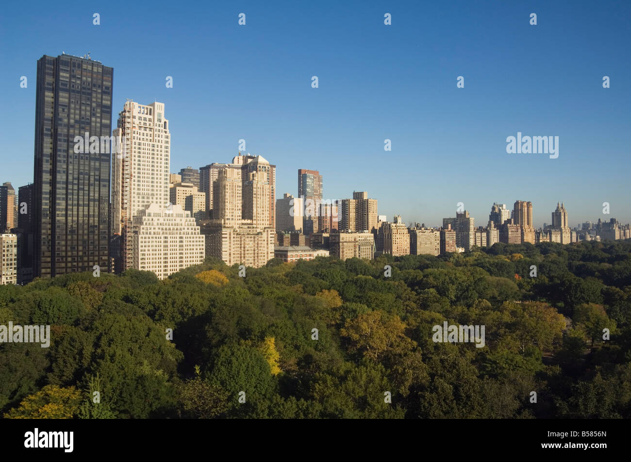 View of Central Park from south looking north, Manhattan, New York, New ...