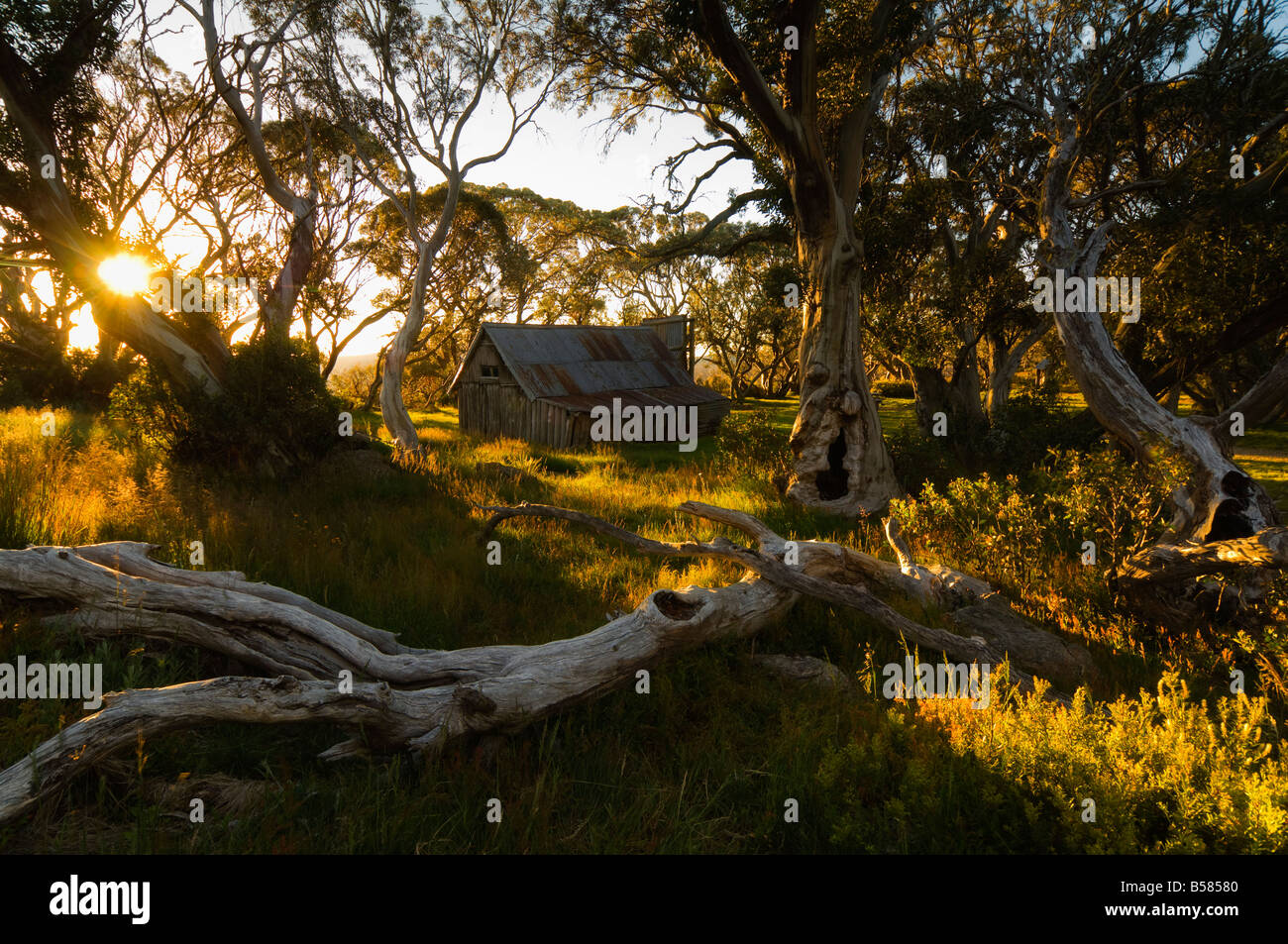Wallace's Hut, Bogong High Plains, Apline National Park, Victoria ...