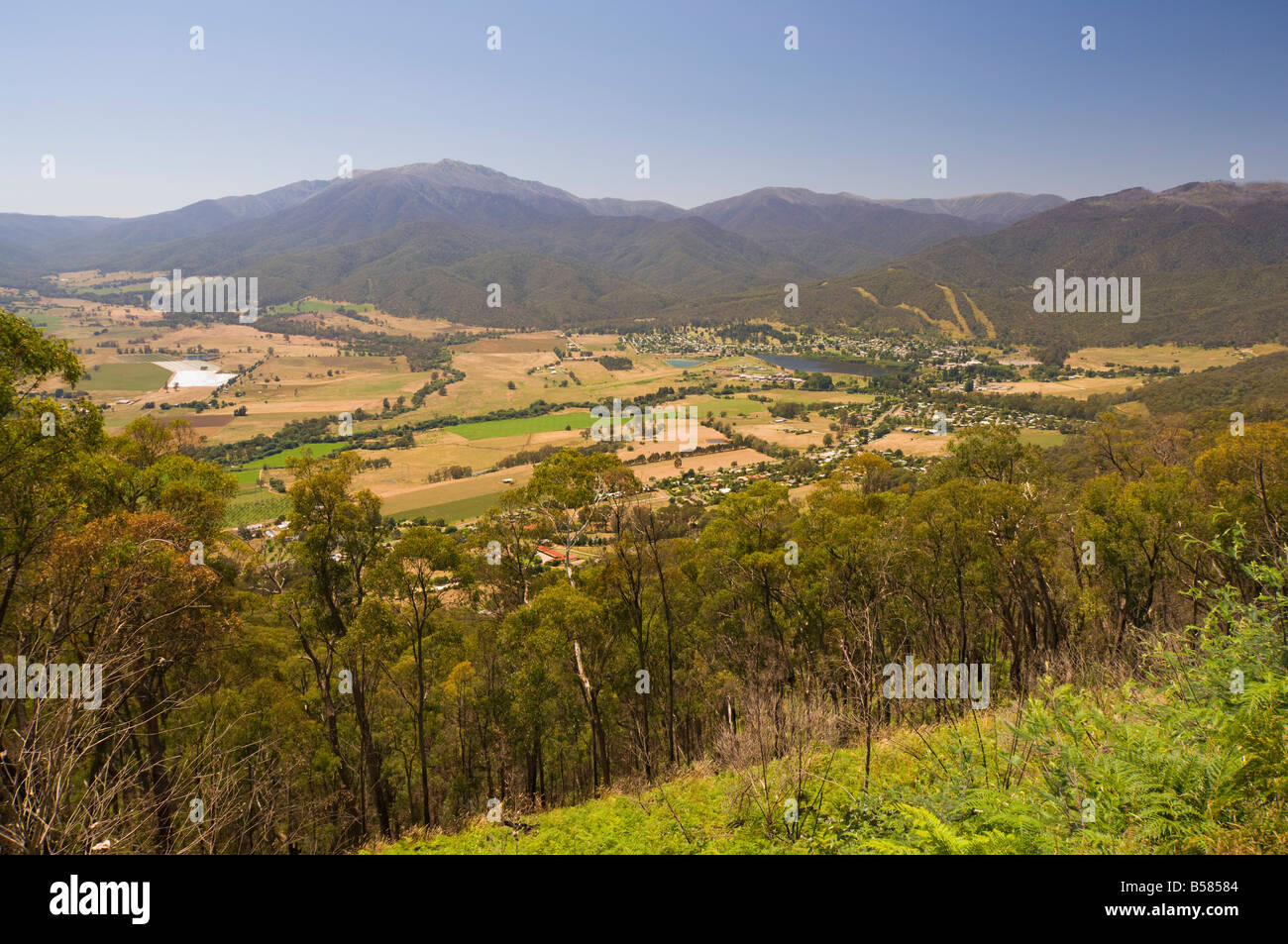 View of Mount Beauty and Mount Bogong, Victoria, Australia, Pacific ...