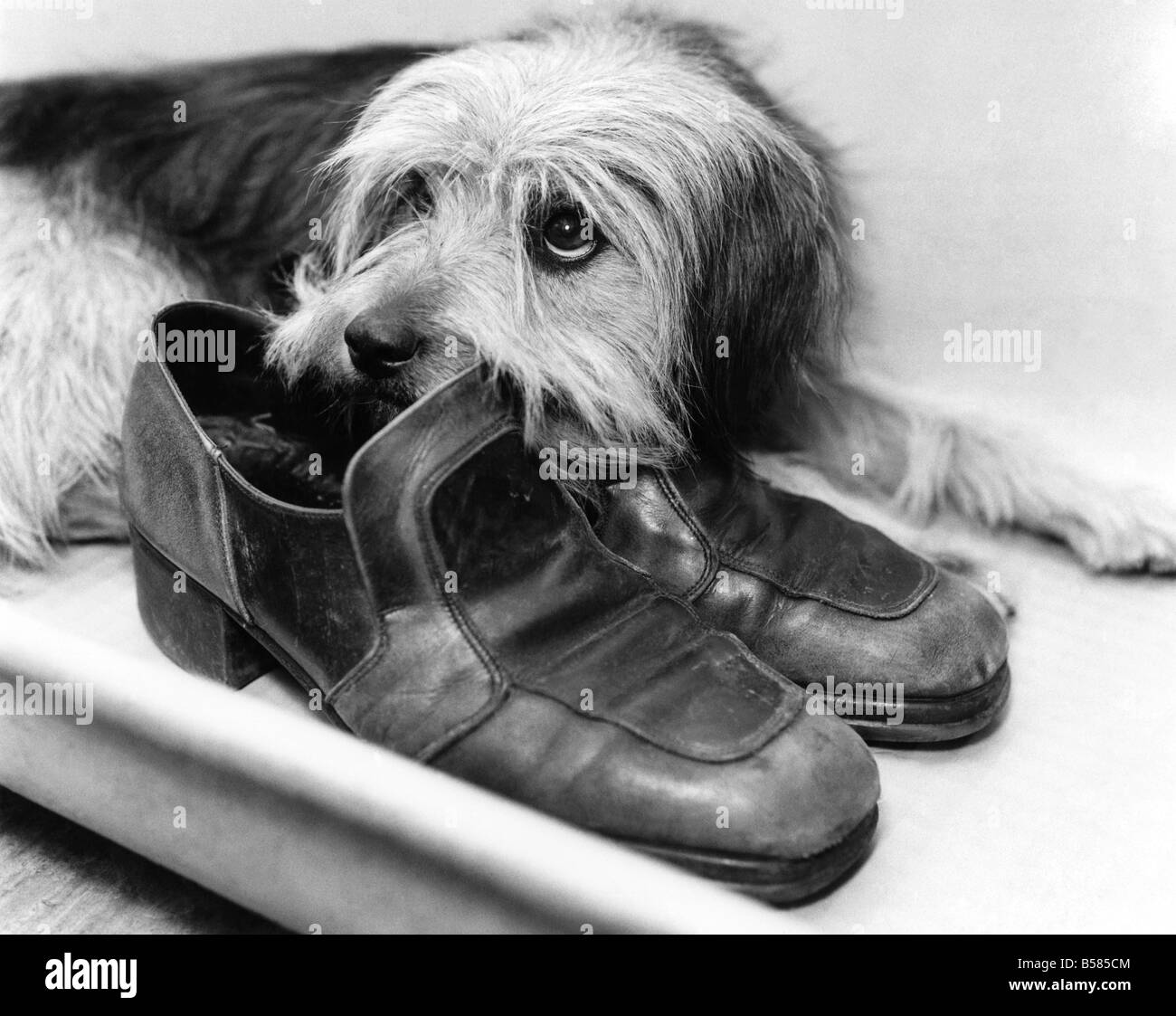 Waiting shoes Black and White Stock Photos & Images - Alamy