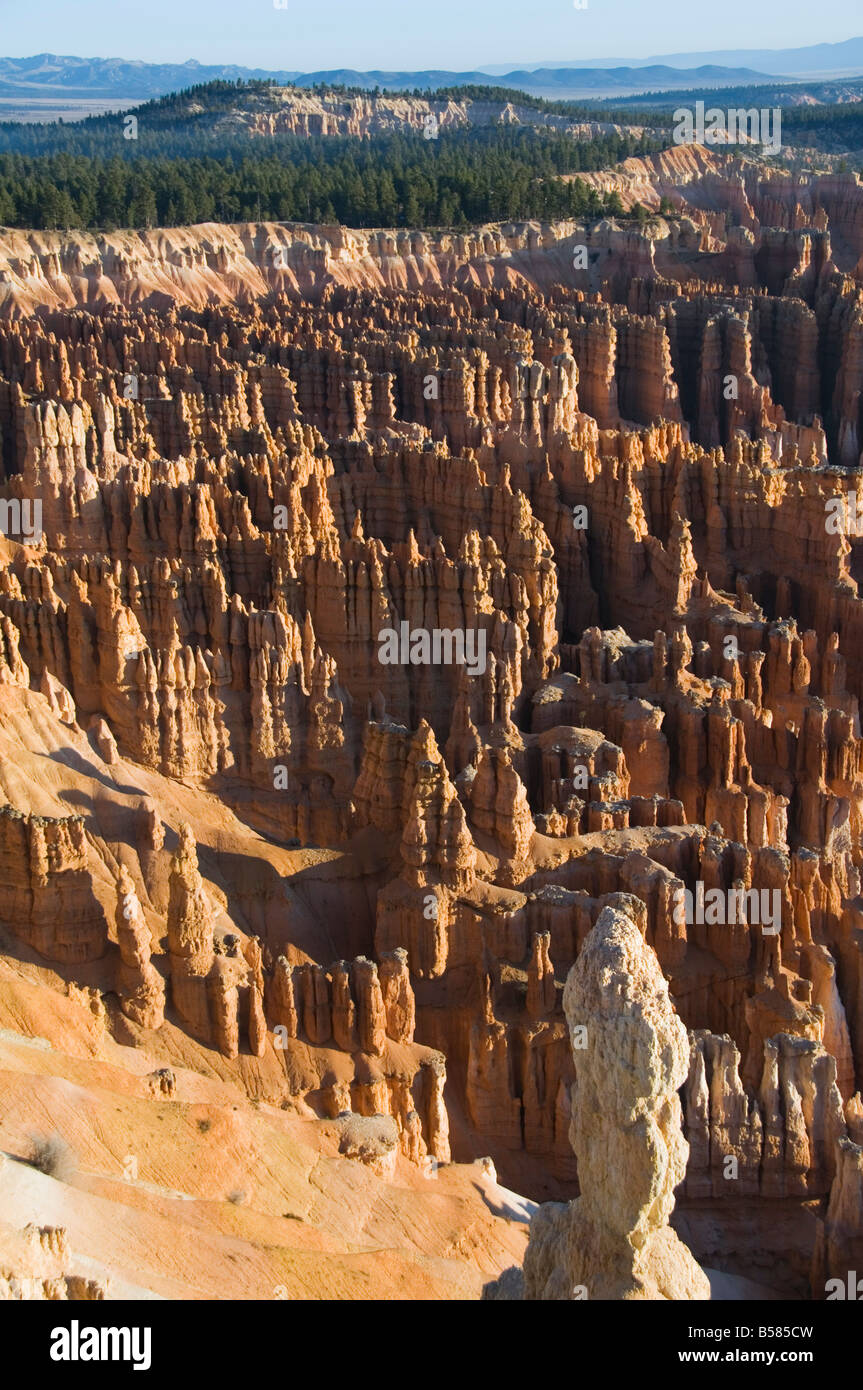 Bryce Canyon National Park, Utah, United States of America, North ...