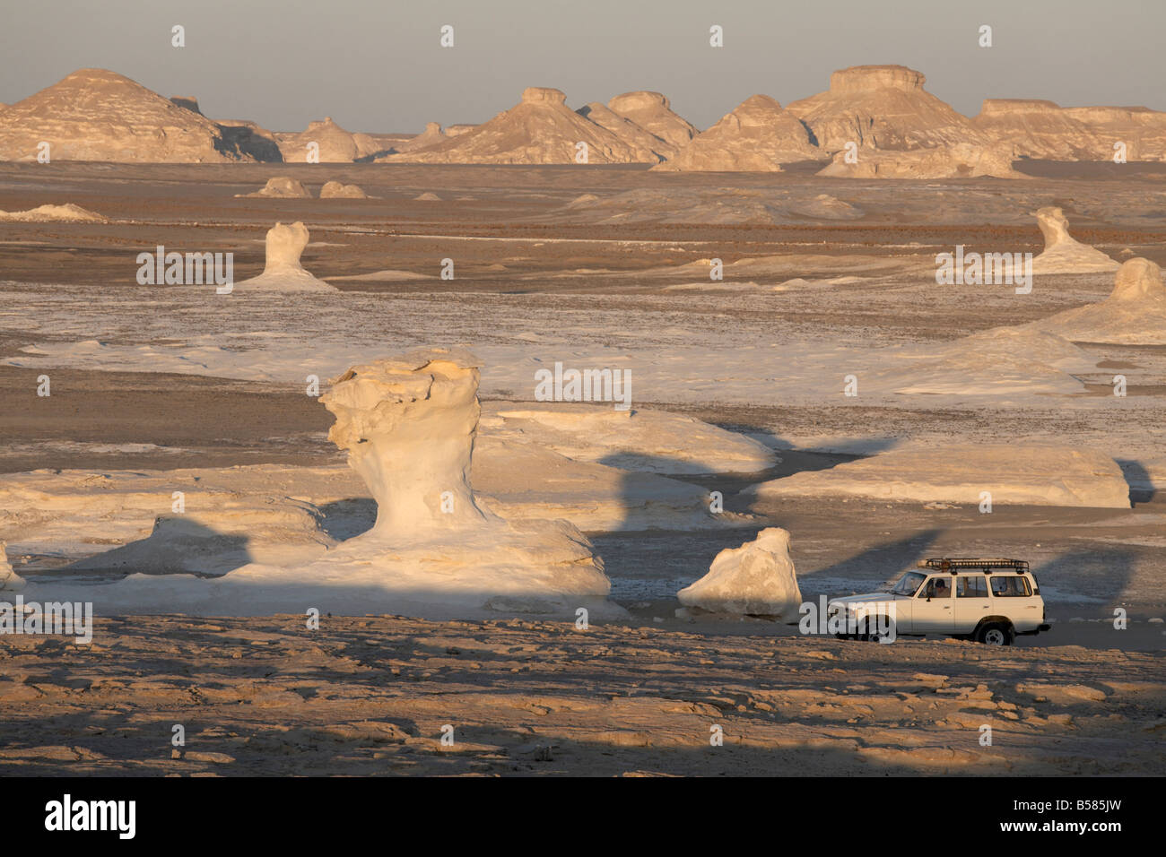 Farafra oasis hi-res stock photography and images - Alamy