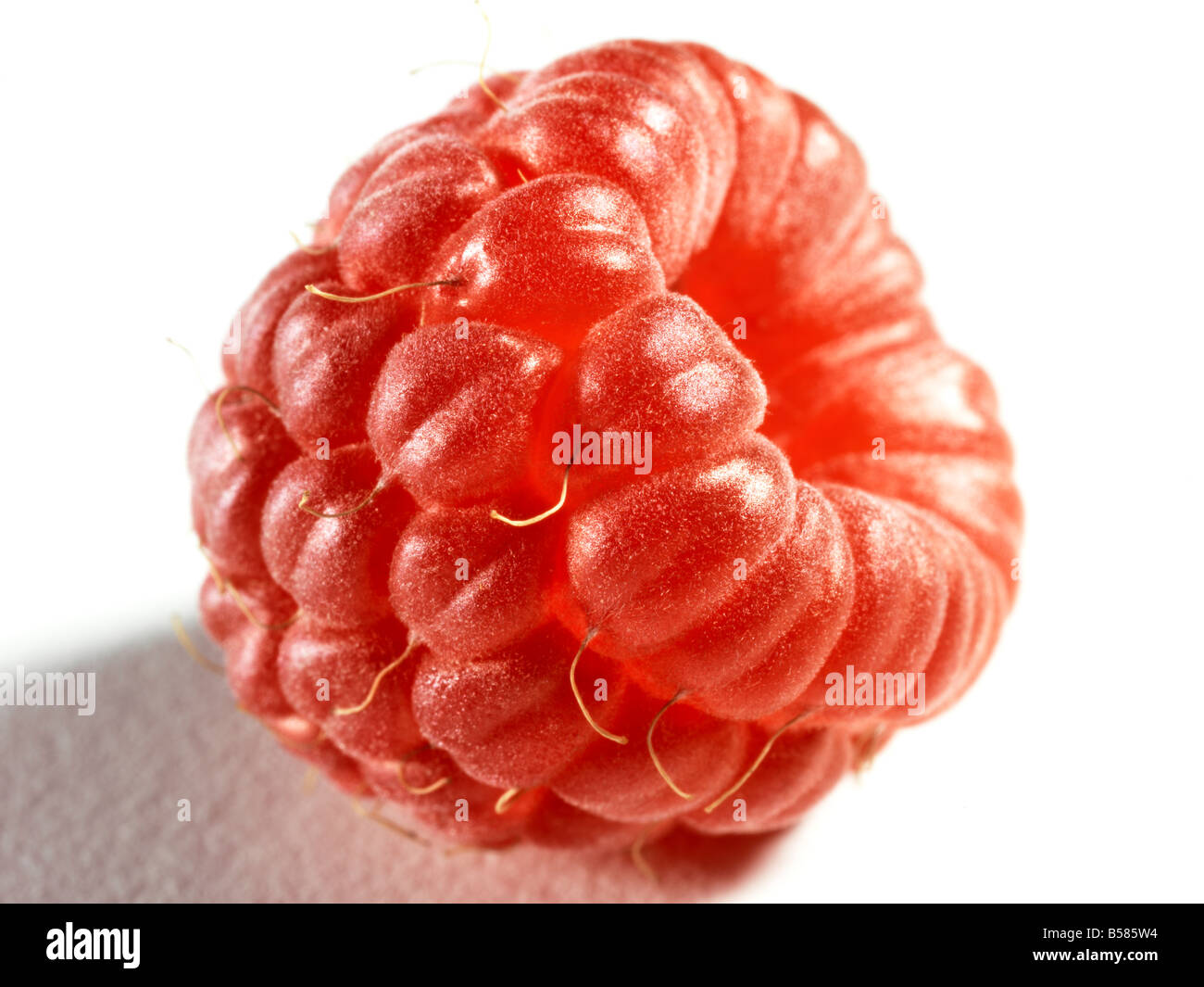 A raspberry hi-res stock photography and images - Alamy