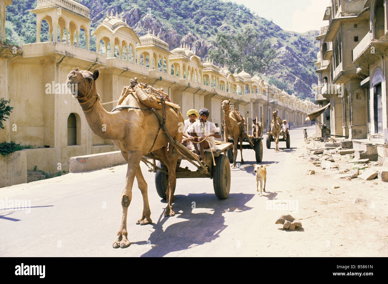 Camel pulling cart hi-res stock photography and images - Alamy