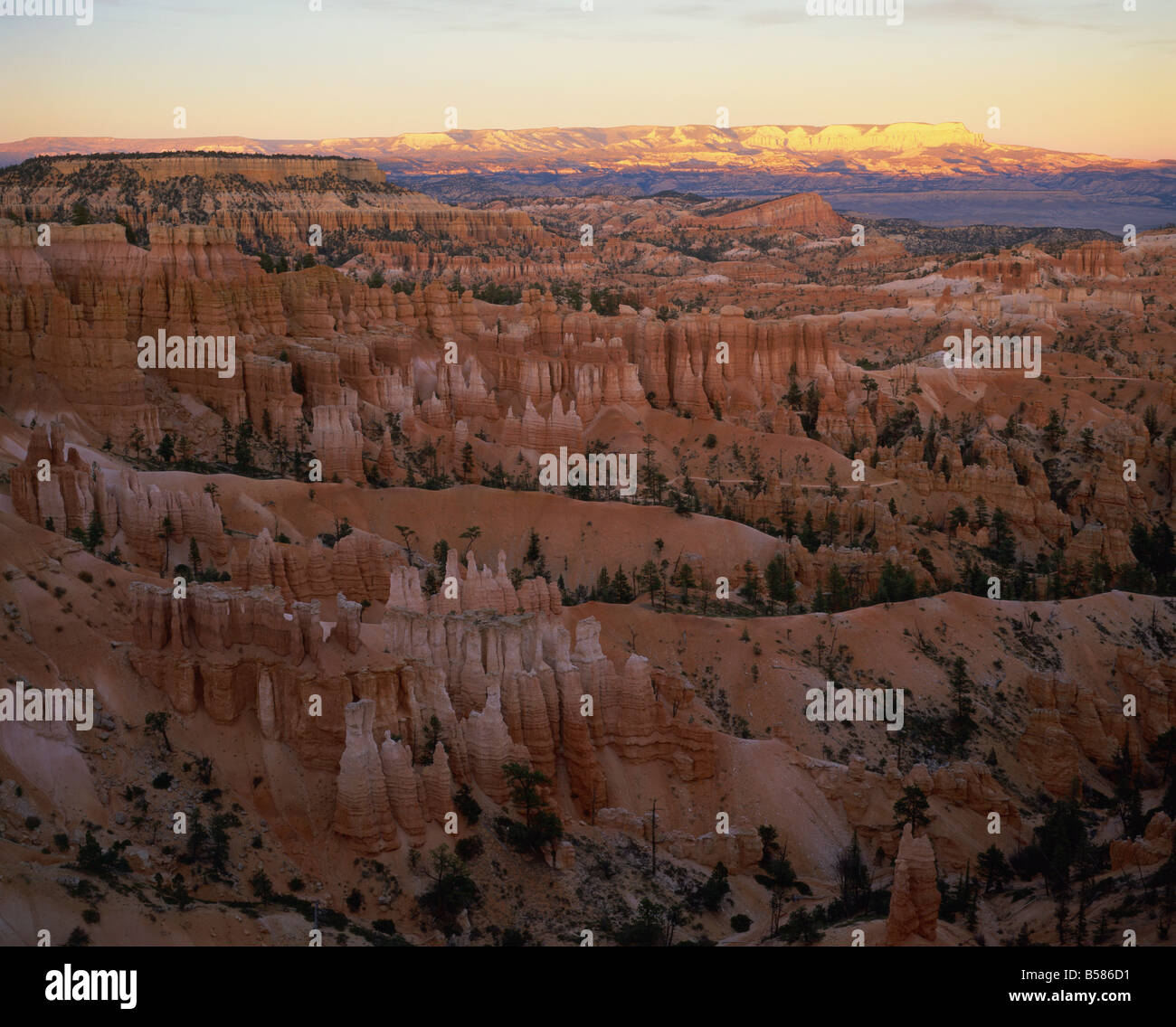 View of Bryce Canyon National Park in evening light, from Sunset Point ...