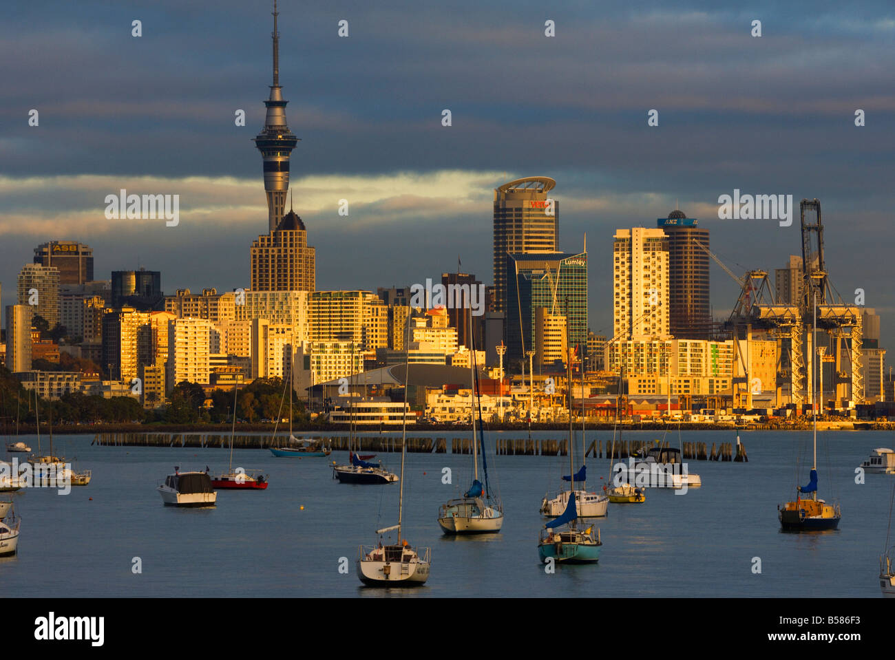 Okahu bay new zealand hi-res stock photography and images - Alamy
